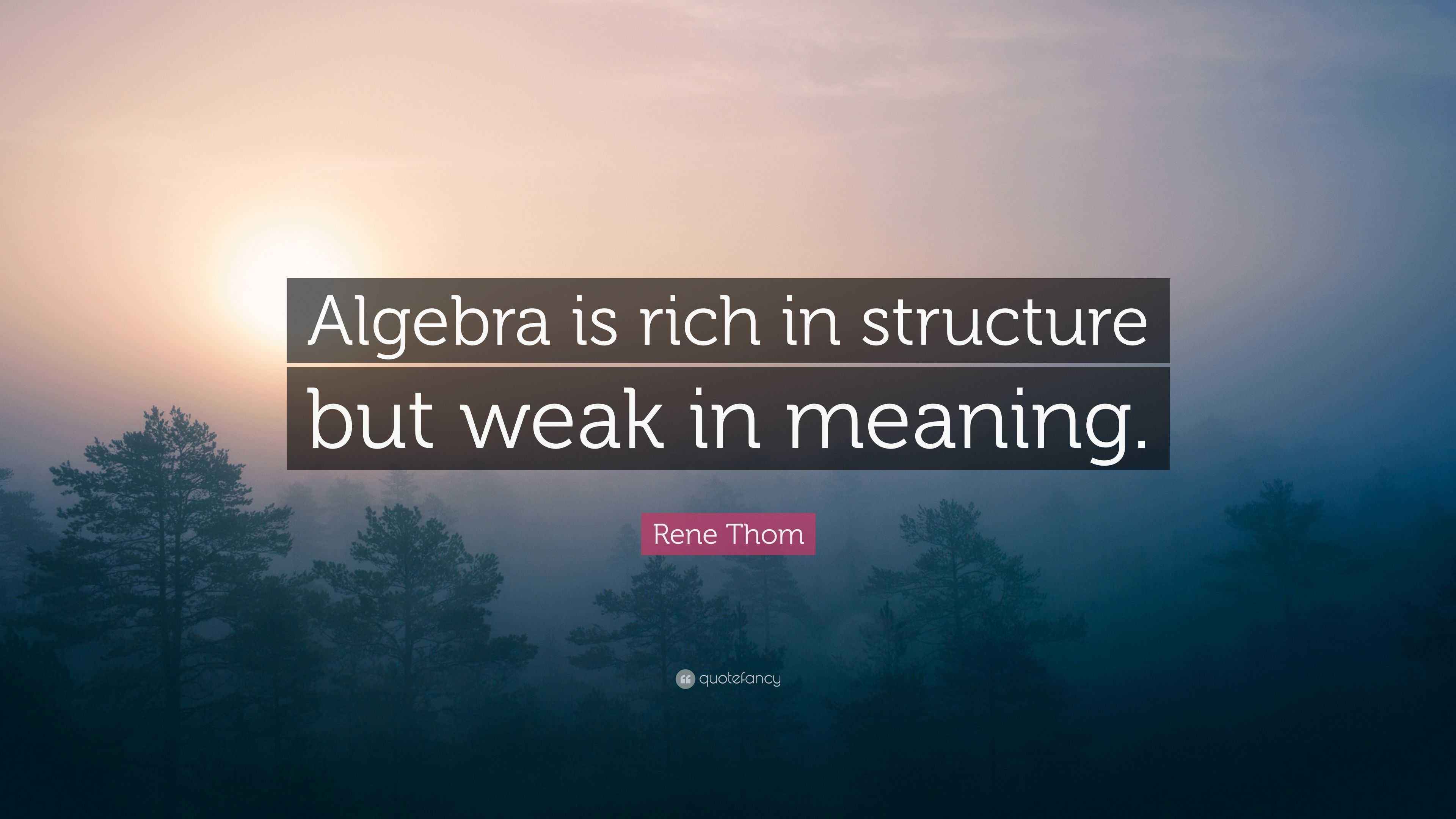 Rene Thom Quote: “Algebra is rich in structure but weak in meaning.”