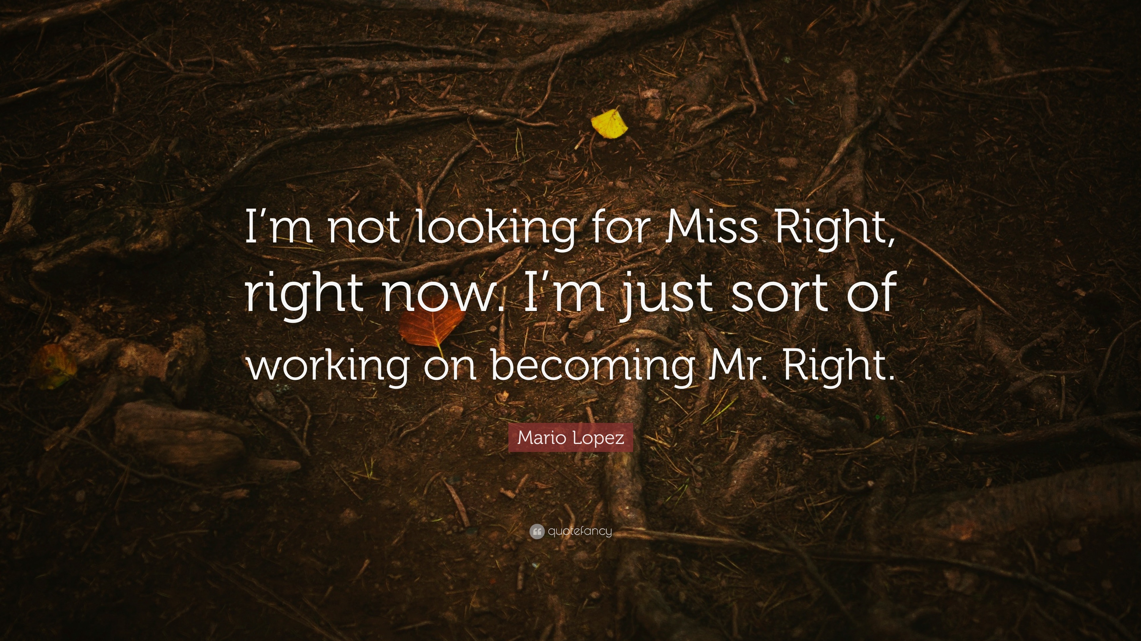 Mario Lopez Quote: “I’m not looking for Miss Right, right now. I’m just ...