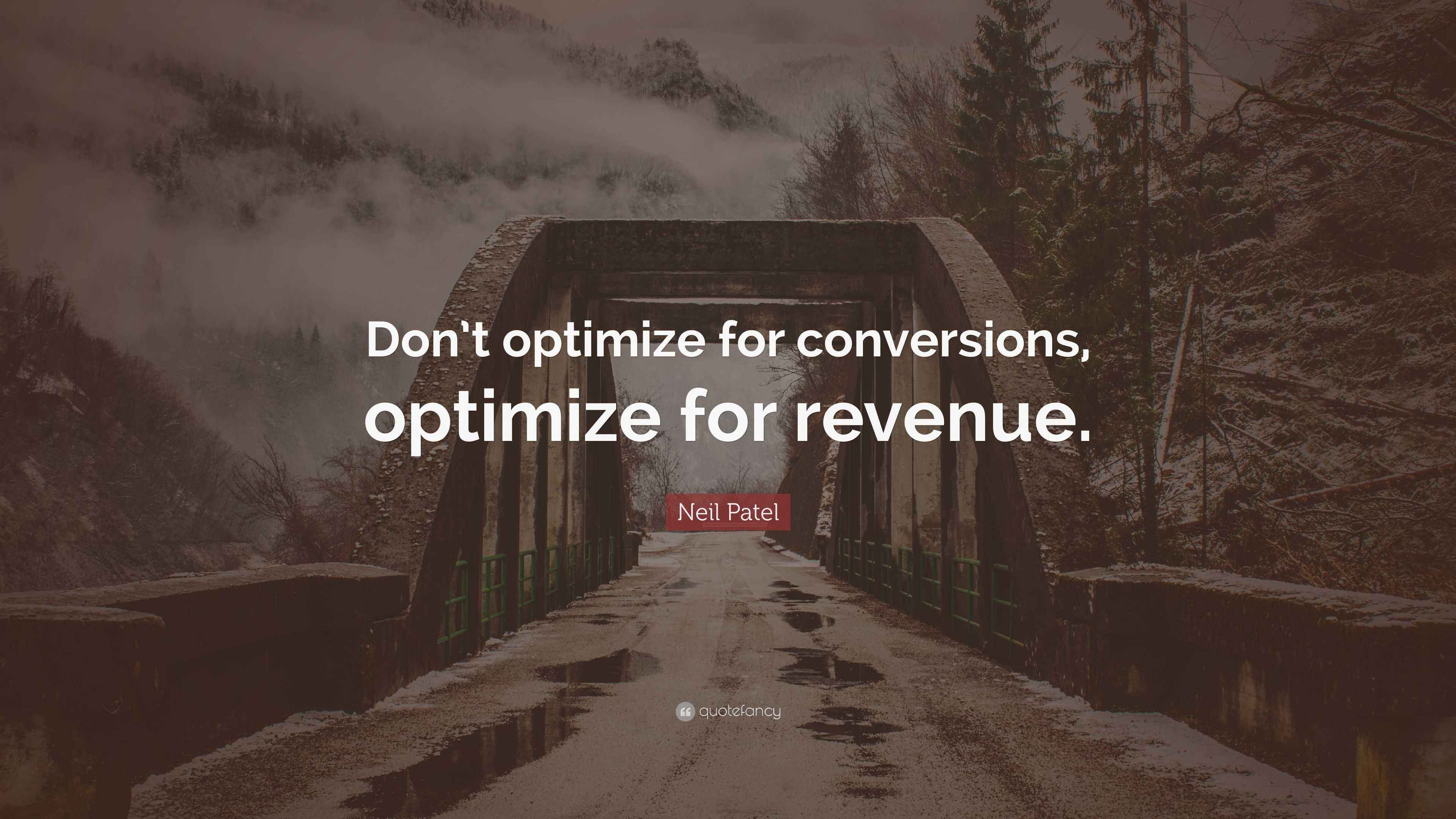 Neil Patel Quote: “Don’t optimize for conversions, optimize for revenue.”