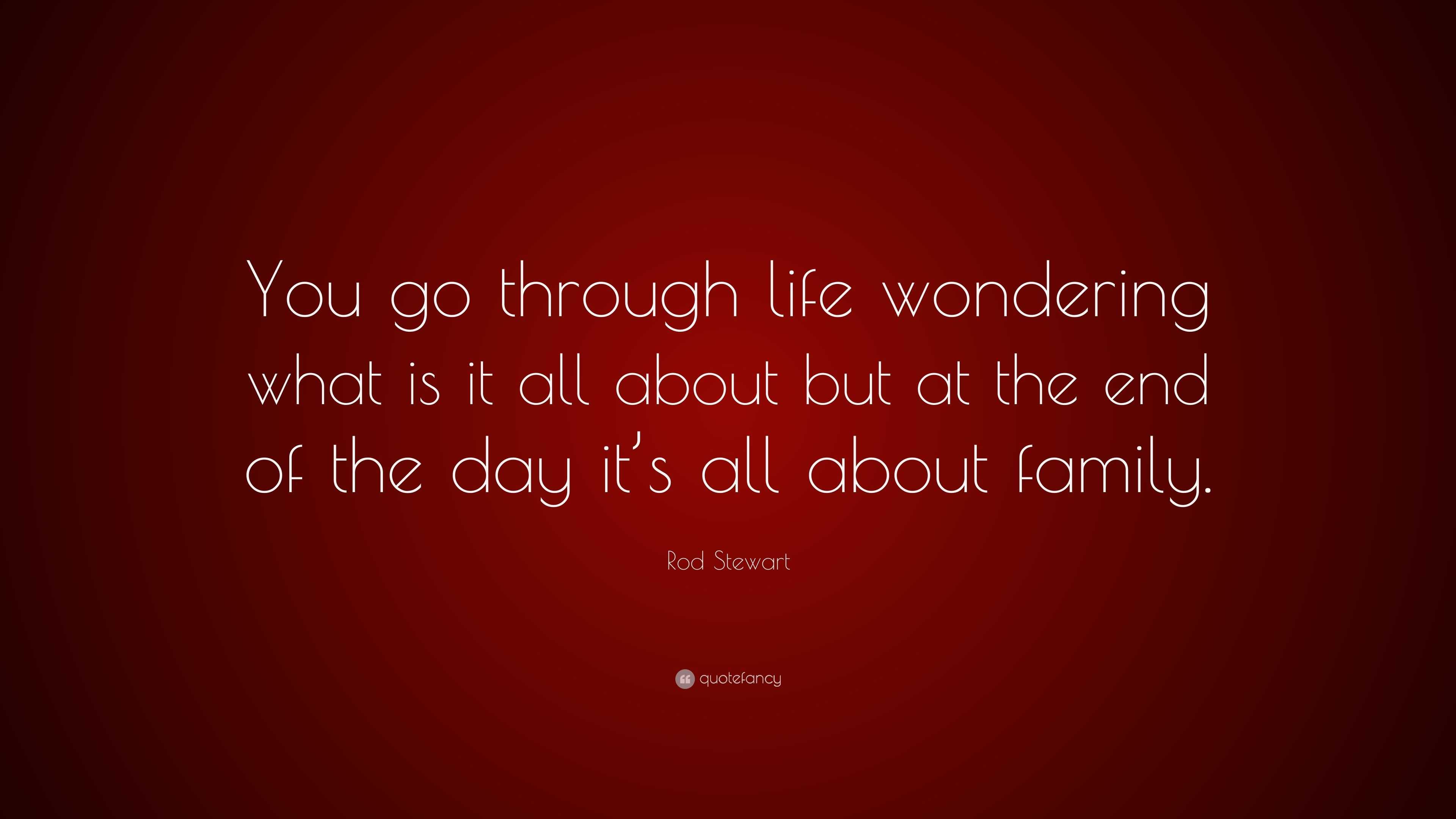 Rod Stewart Quote: “You go through life wondering what is it all about ...
