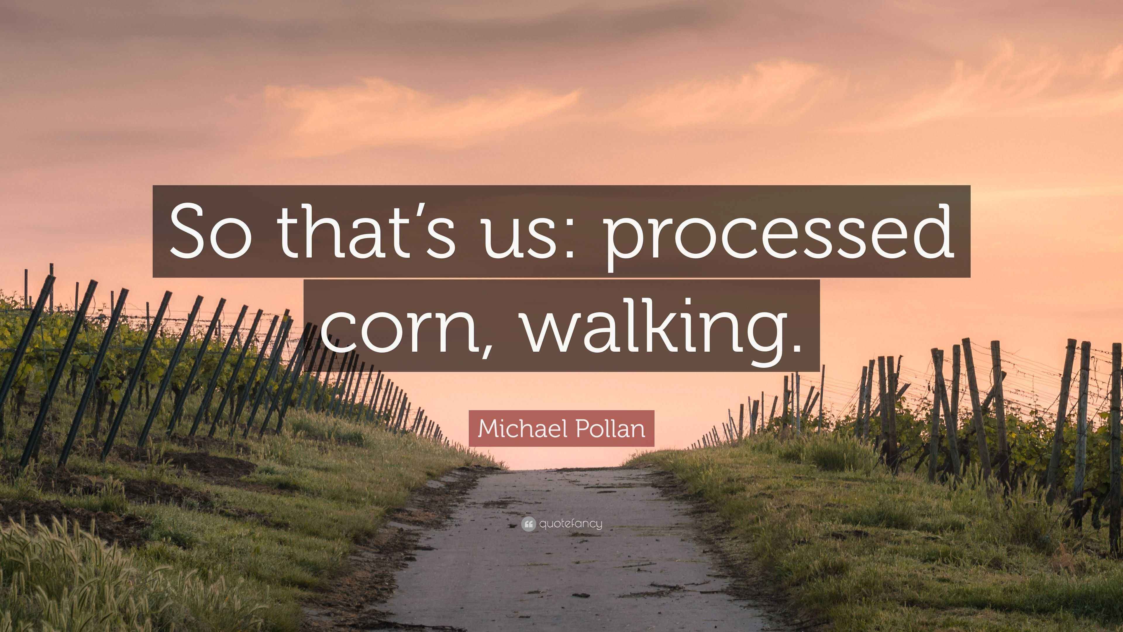 Michael Pollan Quote: “So that’s us: processed corn, walking.”