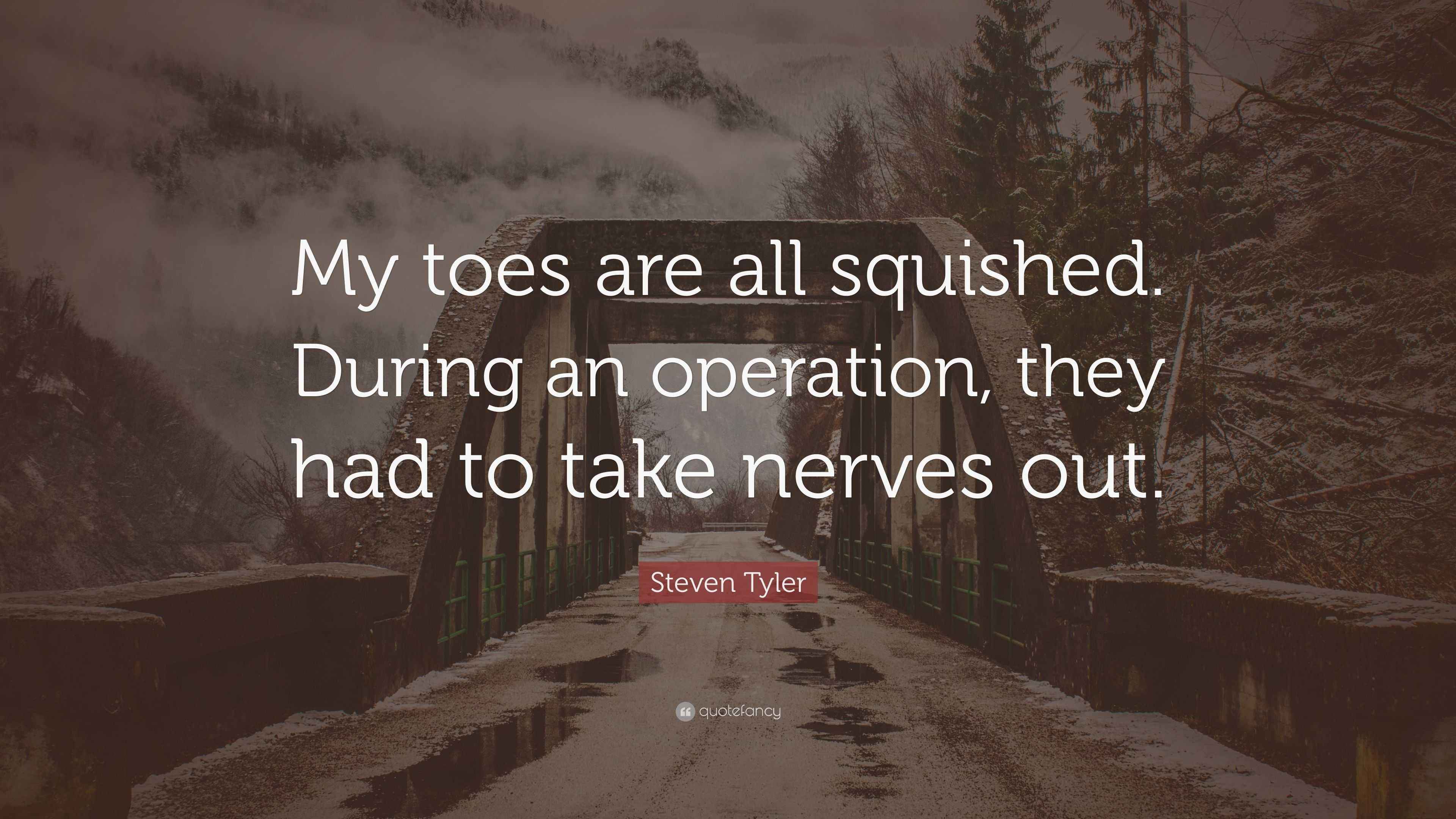 Steven Tyler Quote: “My toes are all squished. During an operation ...