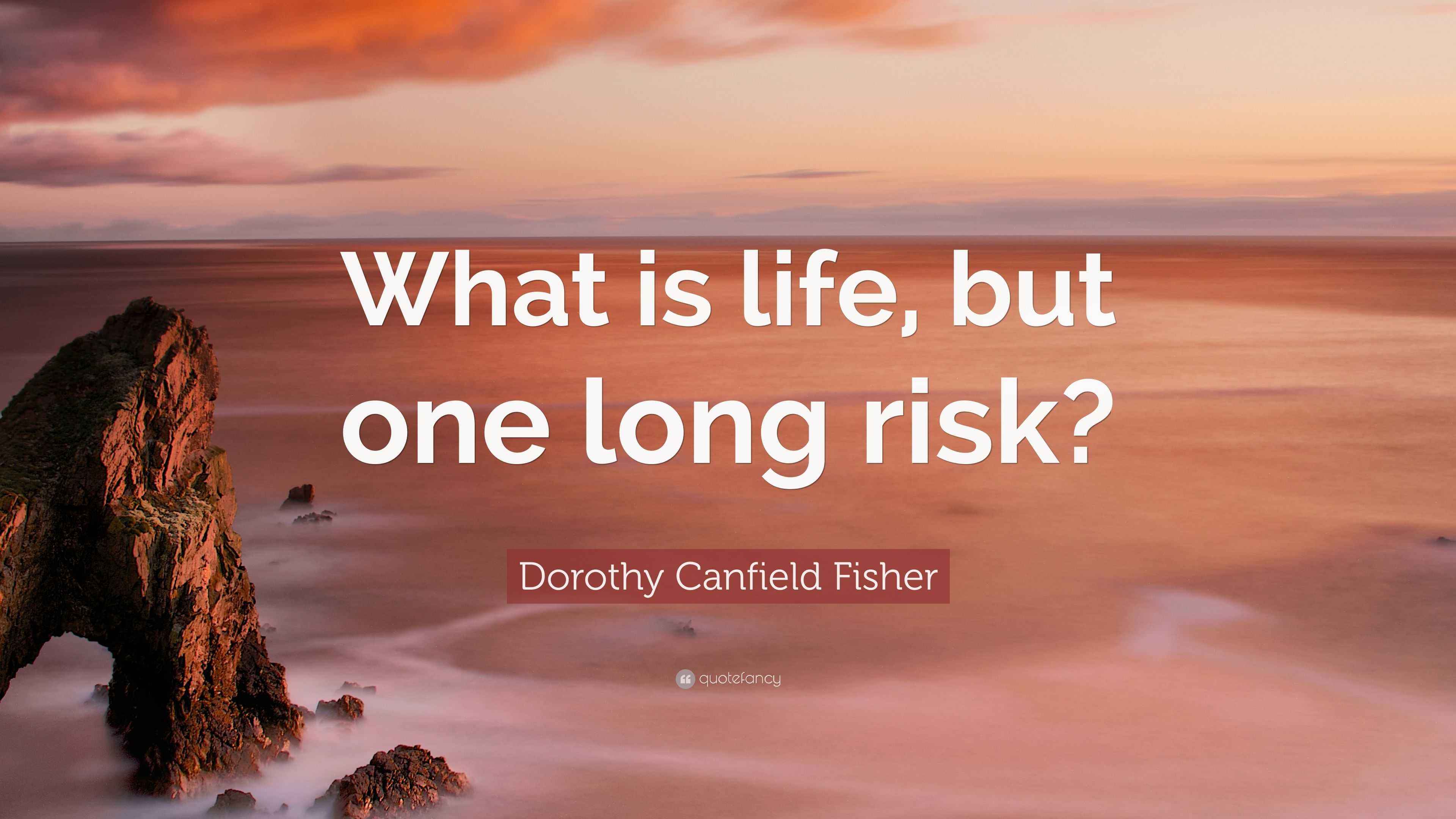 Dorothy Canfield Fisher Quote: “What is life, but one long risk?”