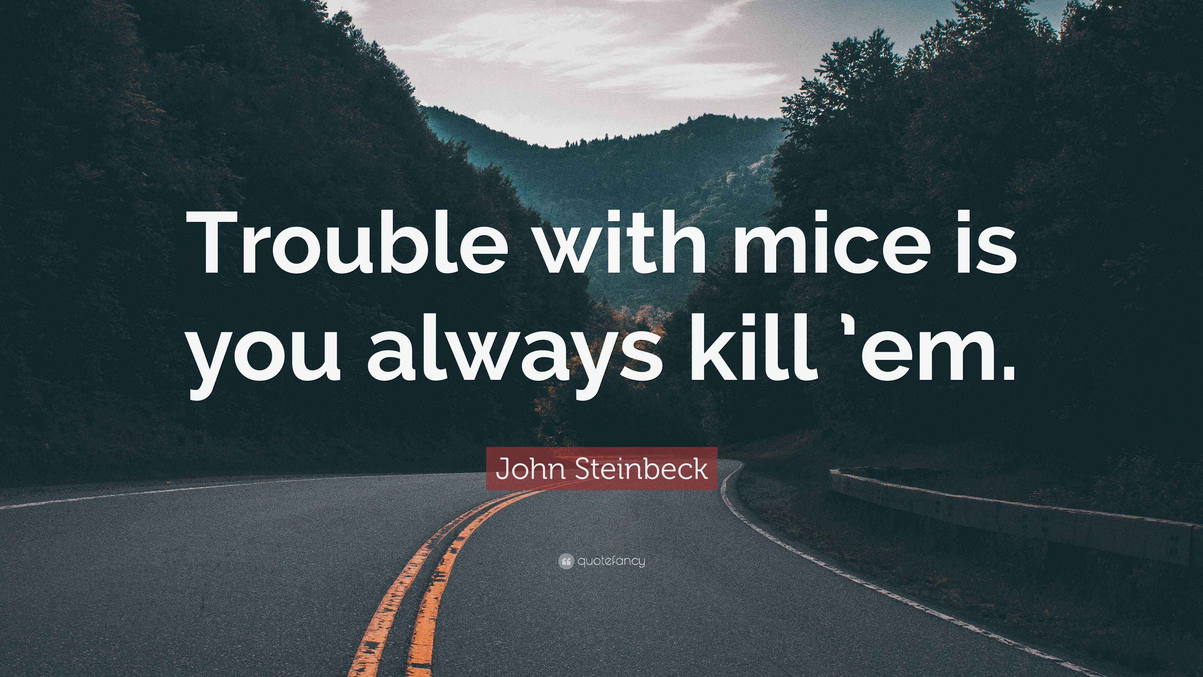 John Steinbeck Quote: “Trouble with mice is you always kill ’em.”