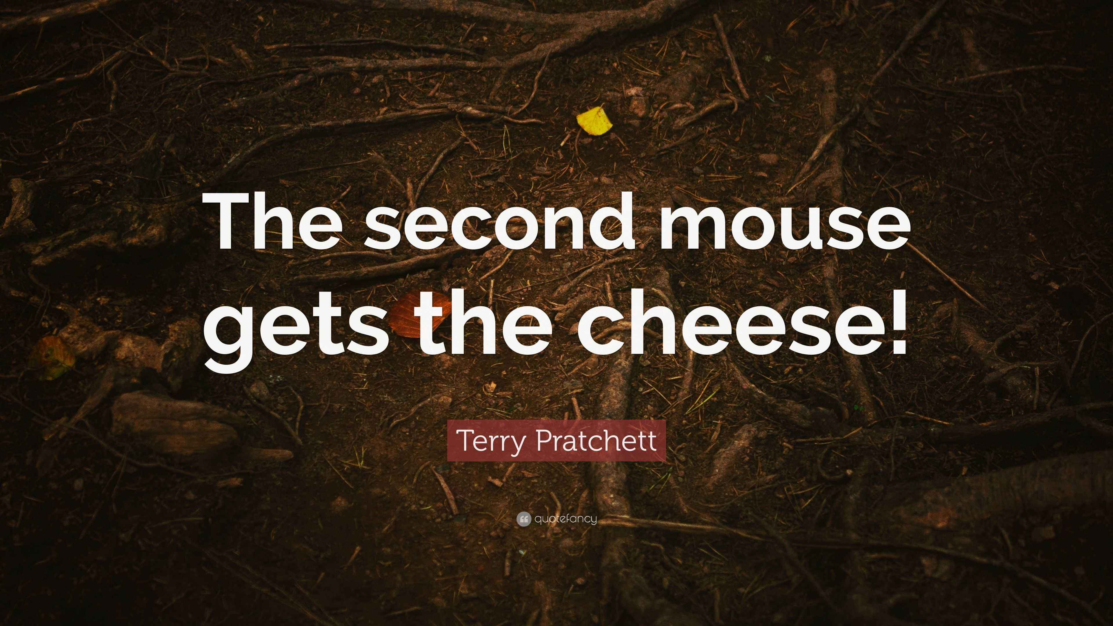 Terry Pratchett Quote: “The second mouse gets the cheese!”