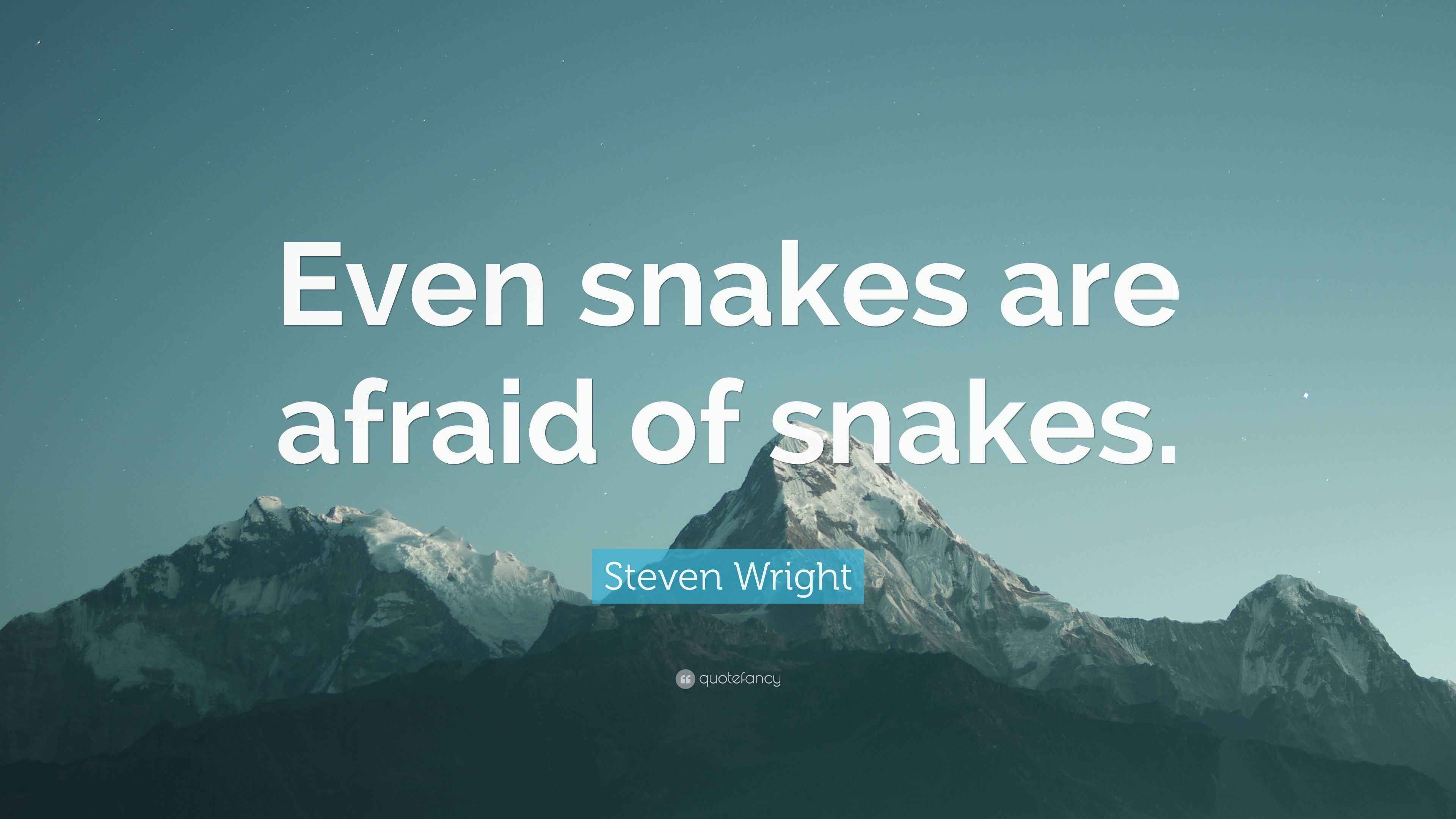 Steven Wright Quote: “Even snakes are afraid of snakes.”