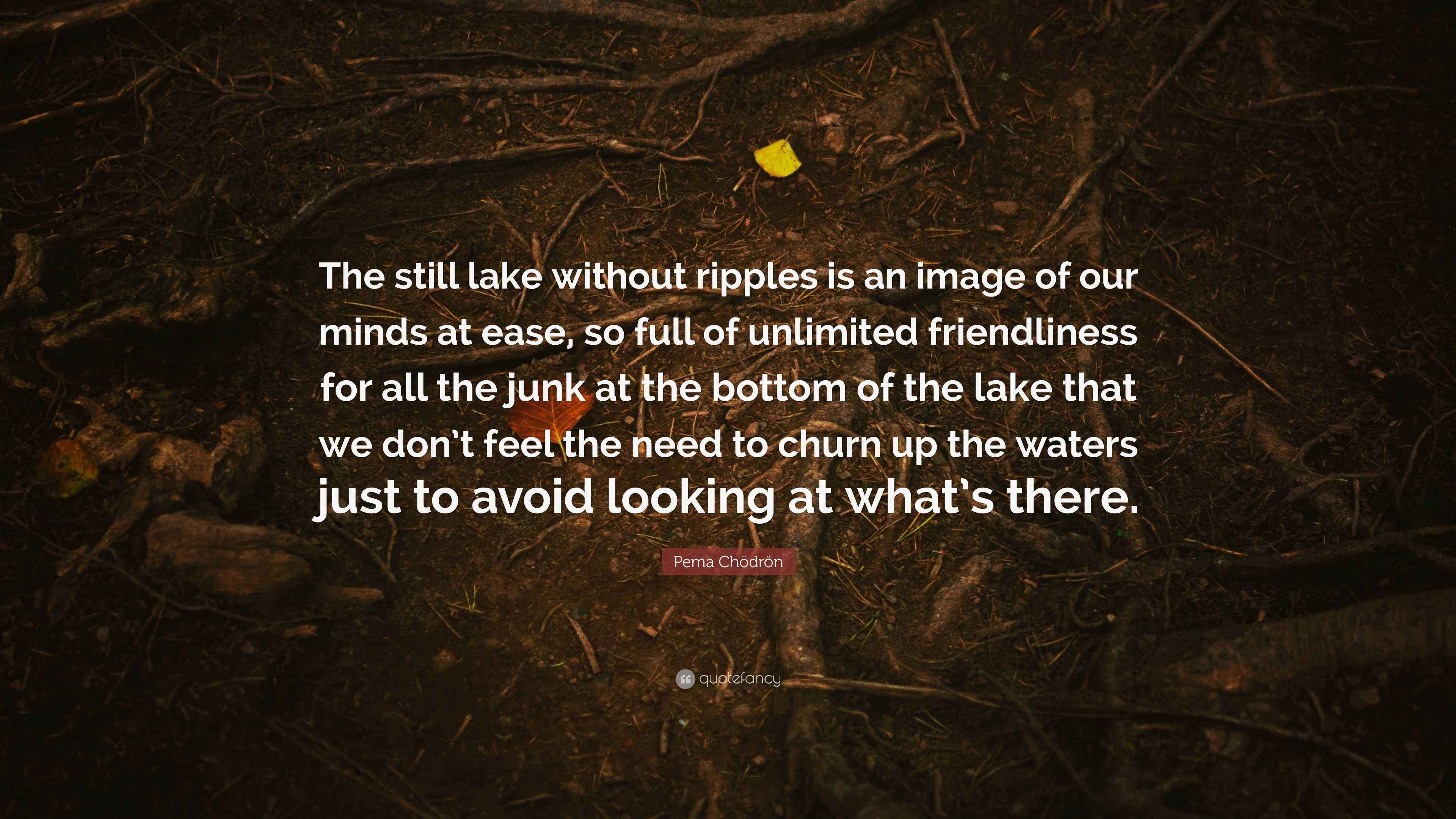 Pema Chödrön Quote: “The still lake without ripples is an image of our ...