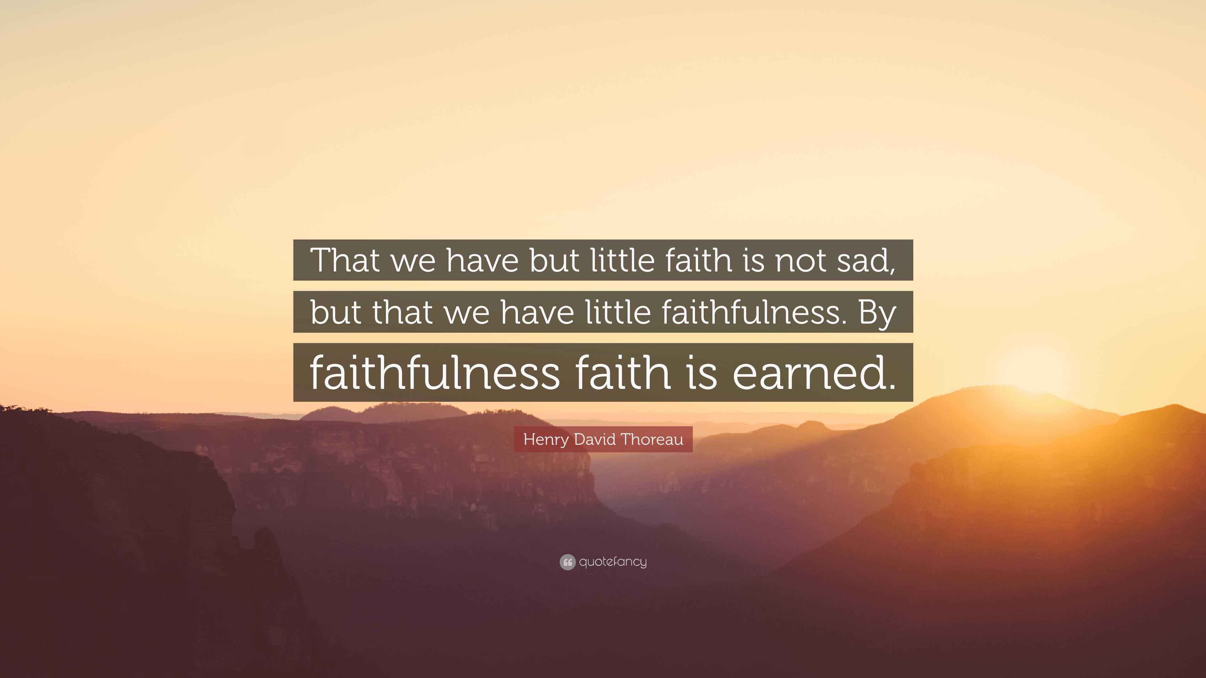 Henry David Thoreau Quote: “That we have but little faith is not sad ...
