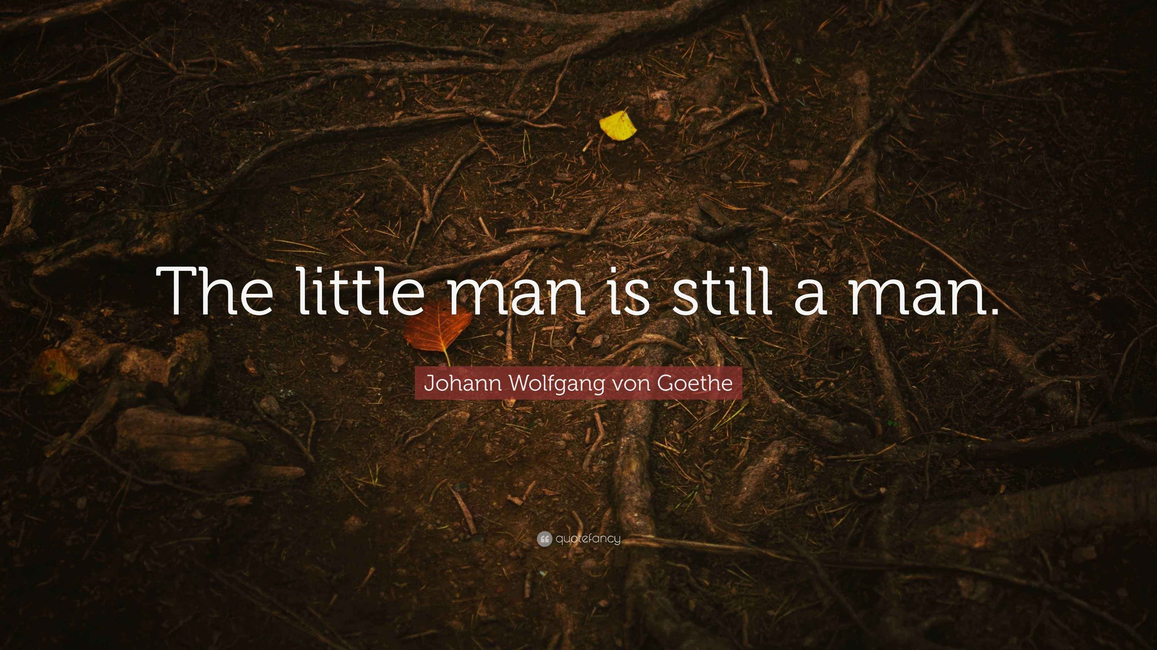 Johann Wolfgang von Goethe Quote: “The little man is still a man.”