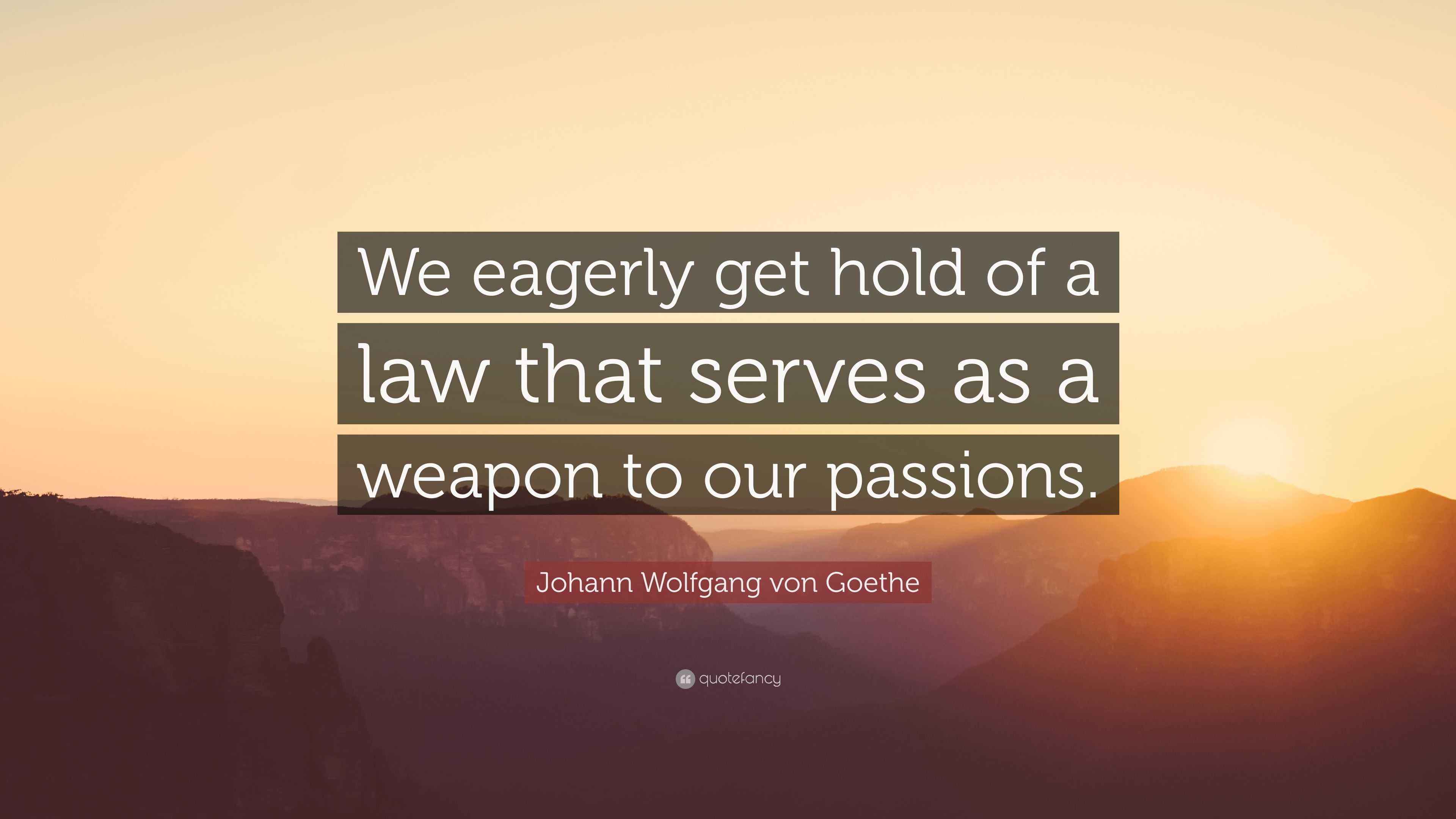Johann Wolfgang von Goethe Quote: “We eagerly get hold of a law that ...