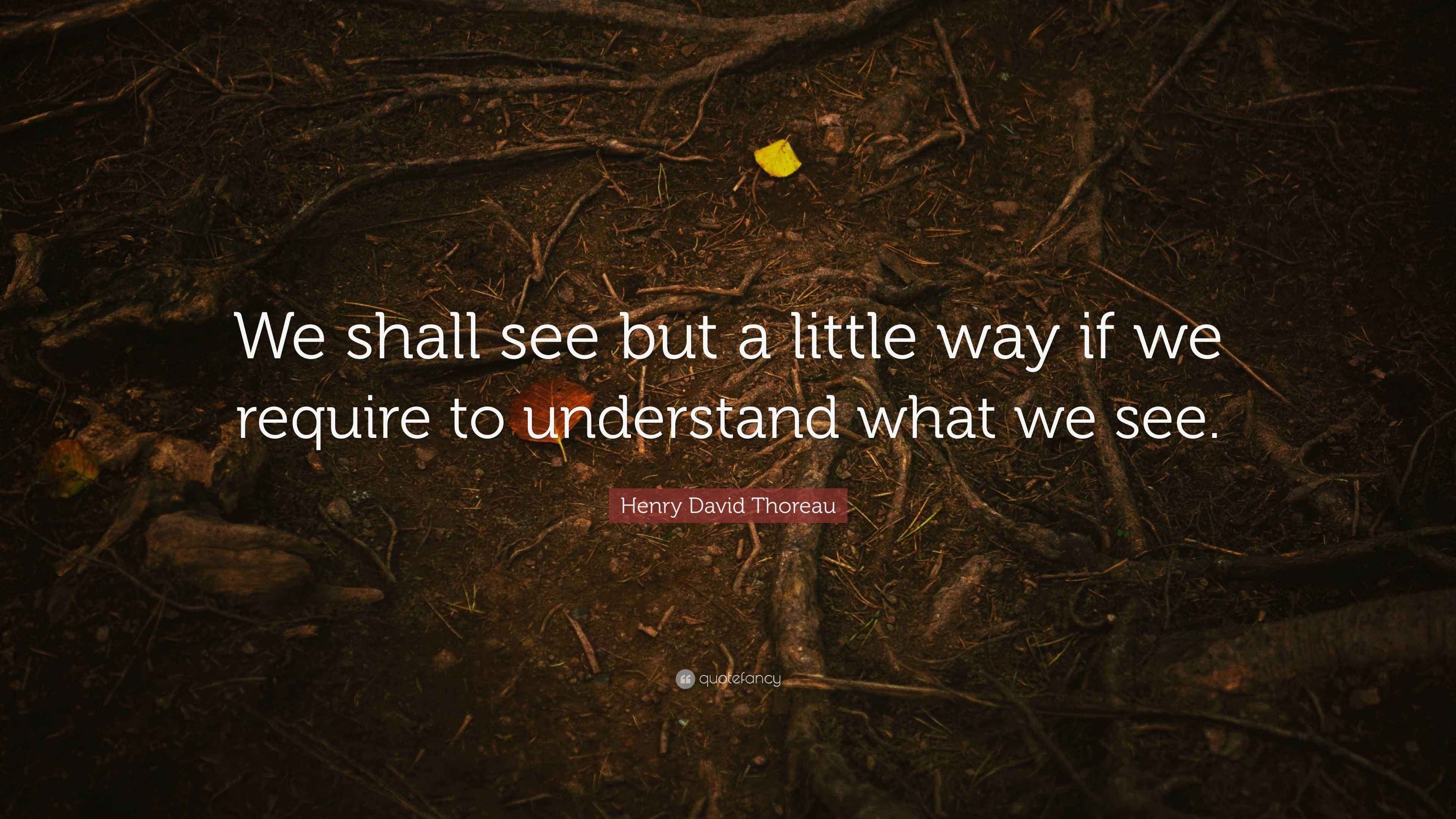 Henry David Thoreau Quote: “We shall see but a little way if we require ...