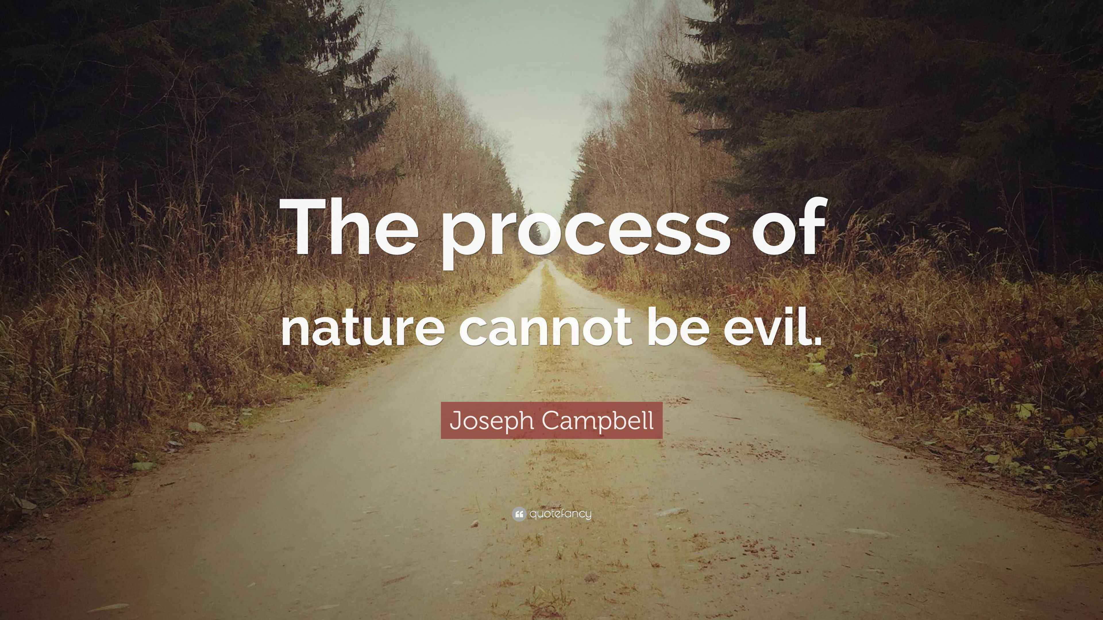 Joseph Campbell Quote: “The process of nature cannot be evil.”