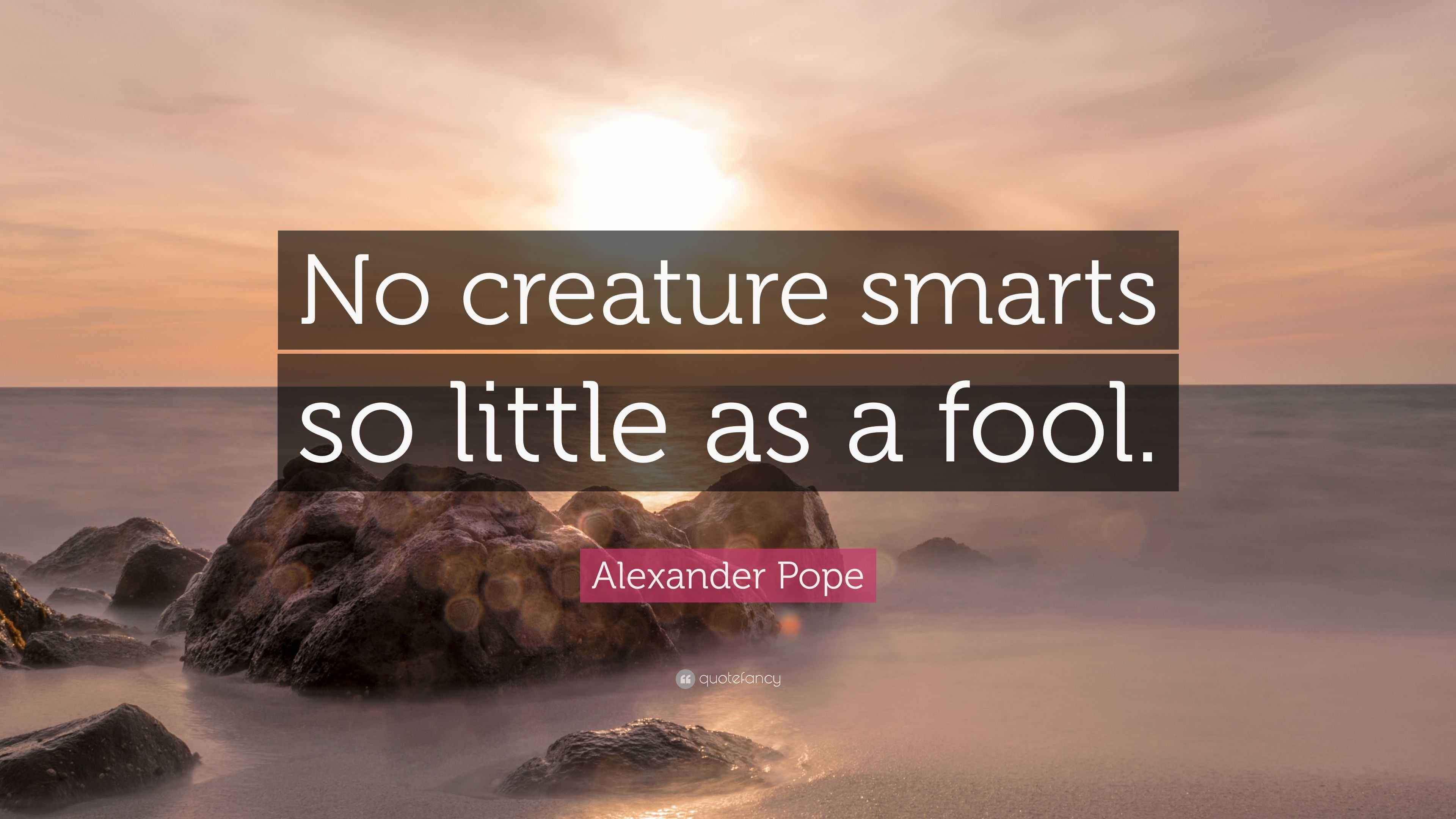 Alexander Pope Quote: “No creature smarts so little as a fool.”