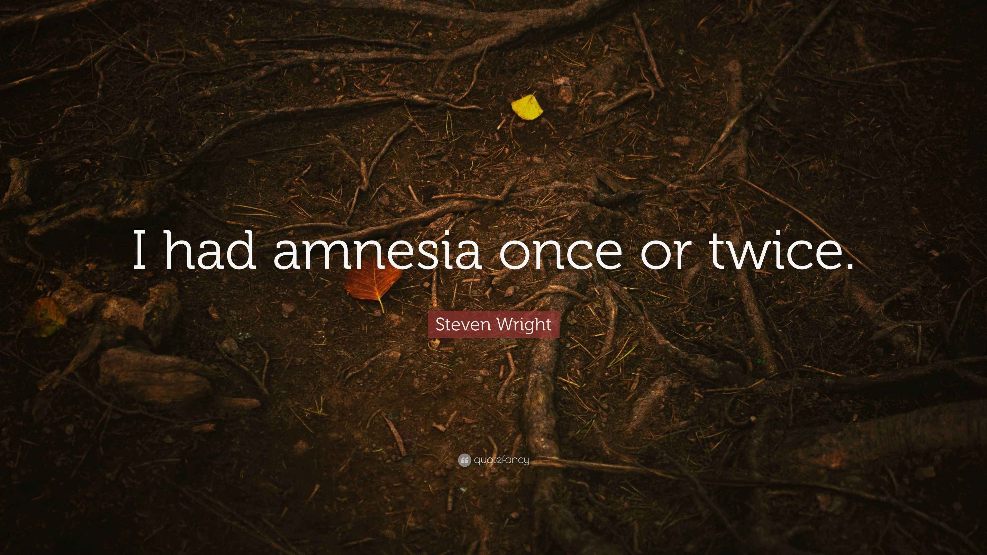 Steven Wright Quote: “I had amnesia once or twice.”