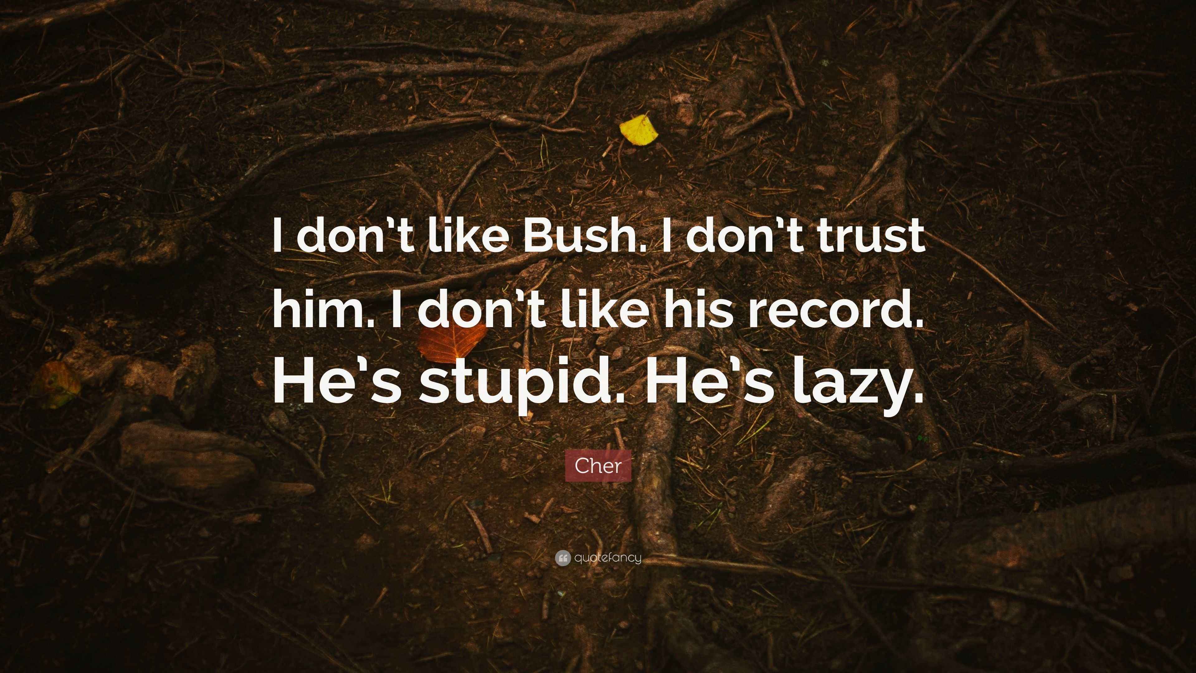 Cher Quote: “I don’t like Bush. I don’t trust him. I don’t like his ...