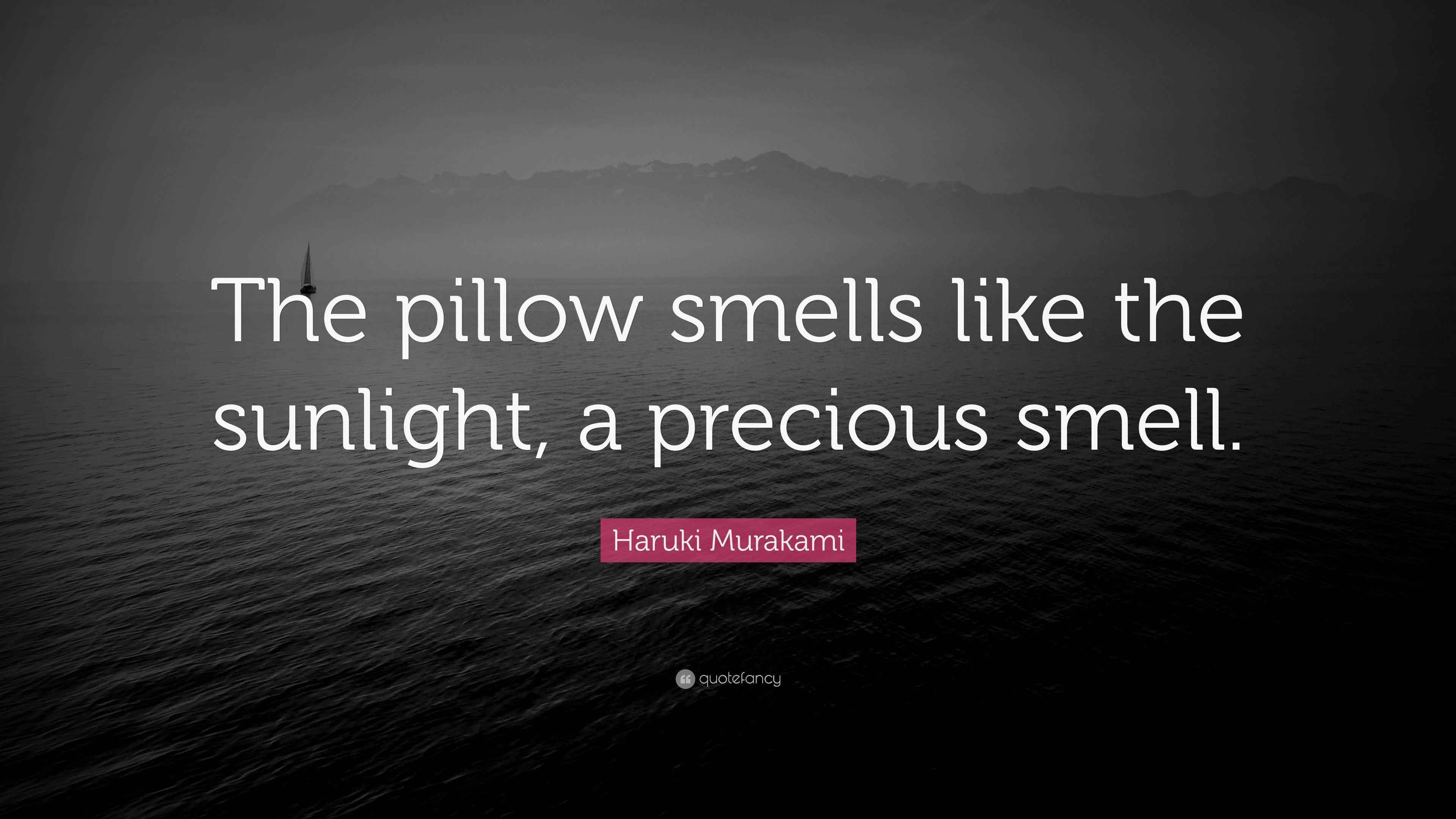 Haruki Murakami Quote: “The pillow smells like the sunlight, a precious ...