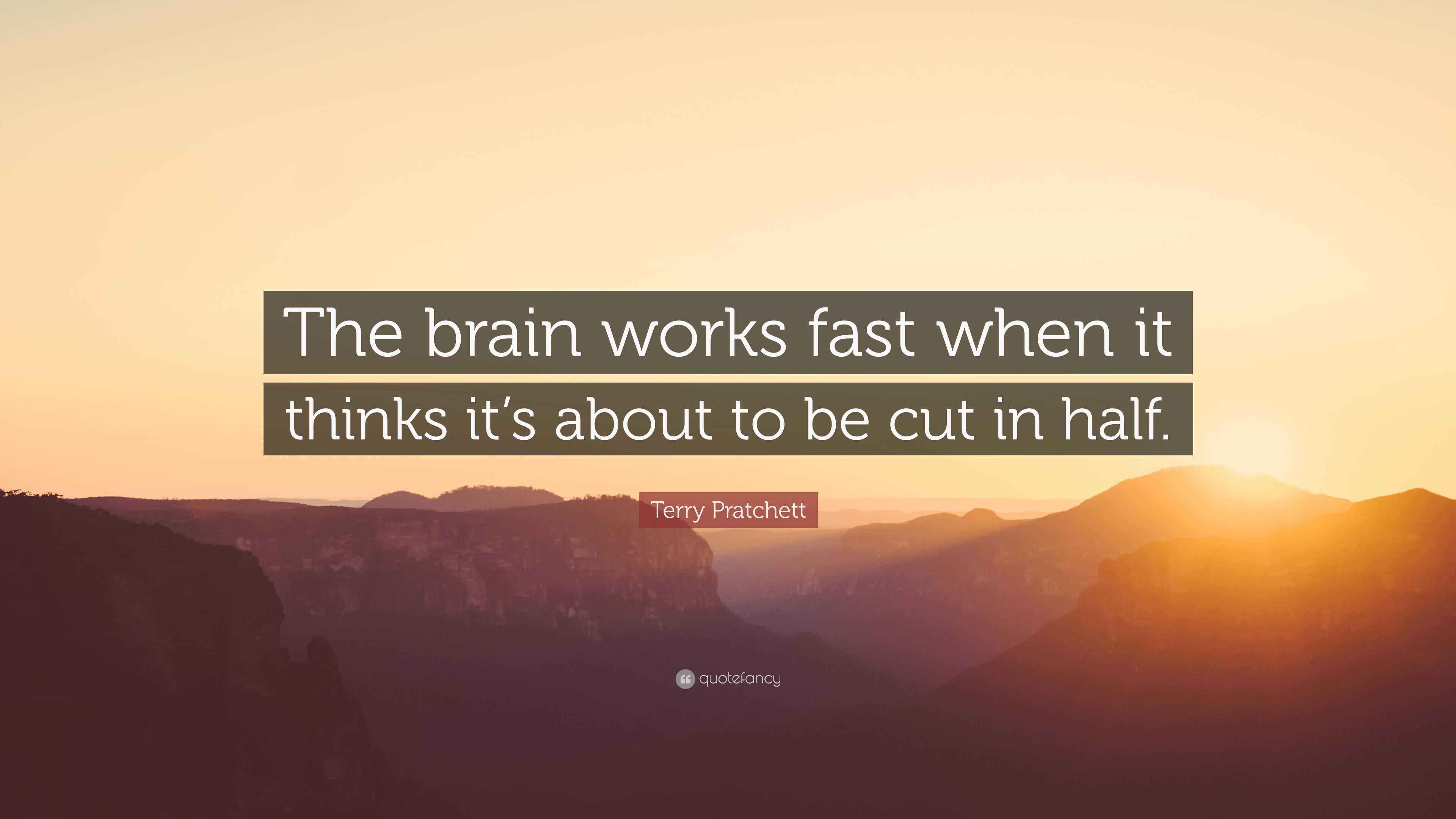 Terry Pratchett Quote: “The brain works fast when it thinks it’s about ...