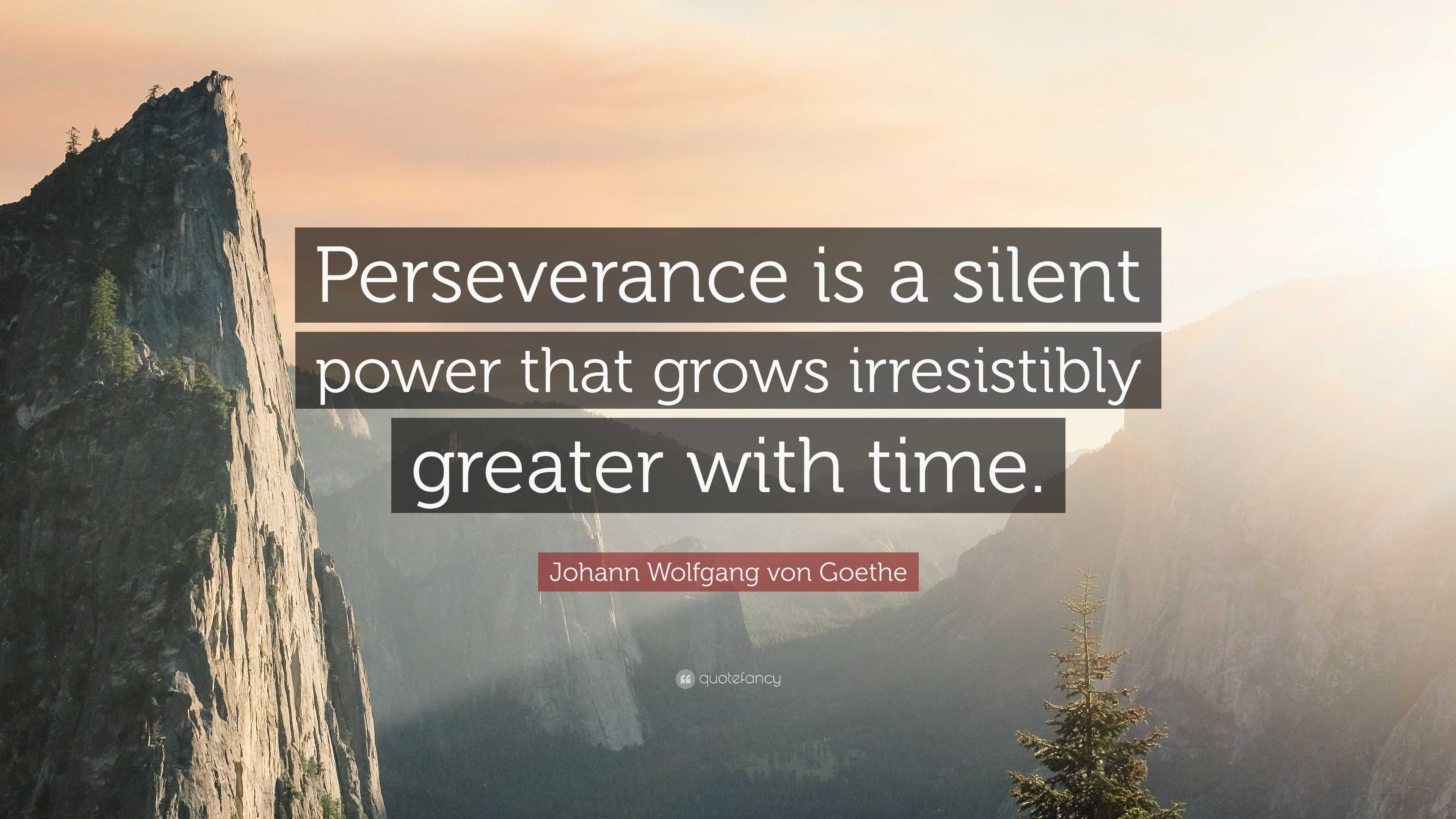 Johann Wolfgang von Goethe Quote: “Perseverance is a silent power that ...