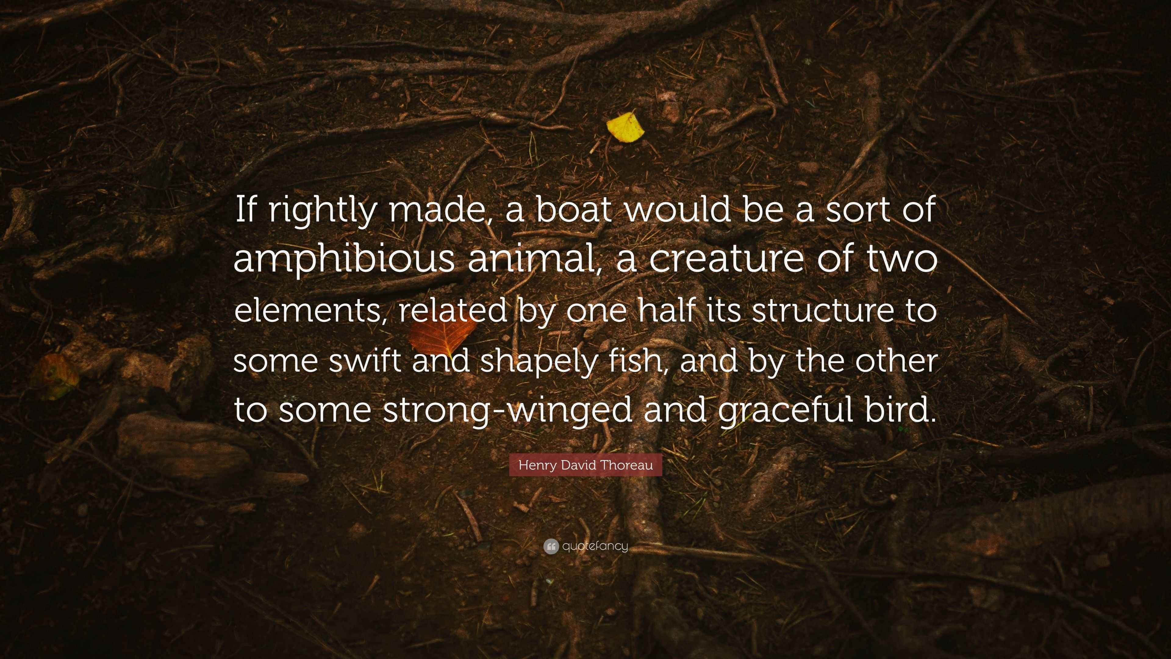 Henry David Thoreau Quote: “If rightly made, a boat would be a sort of ...