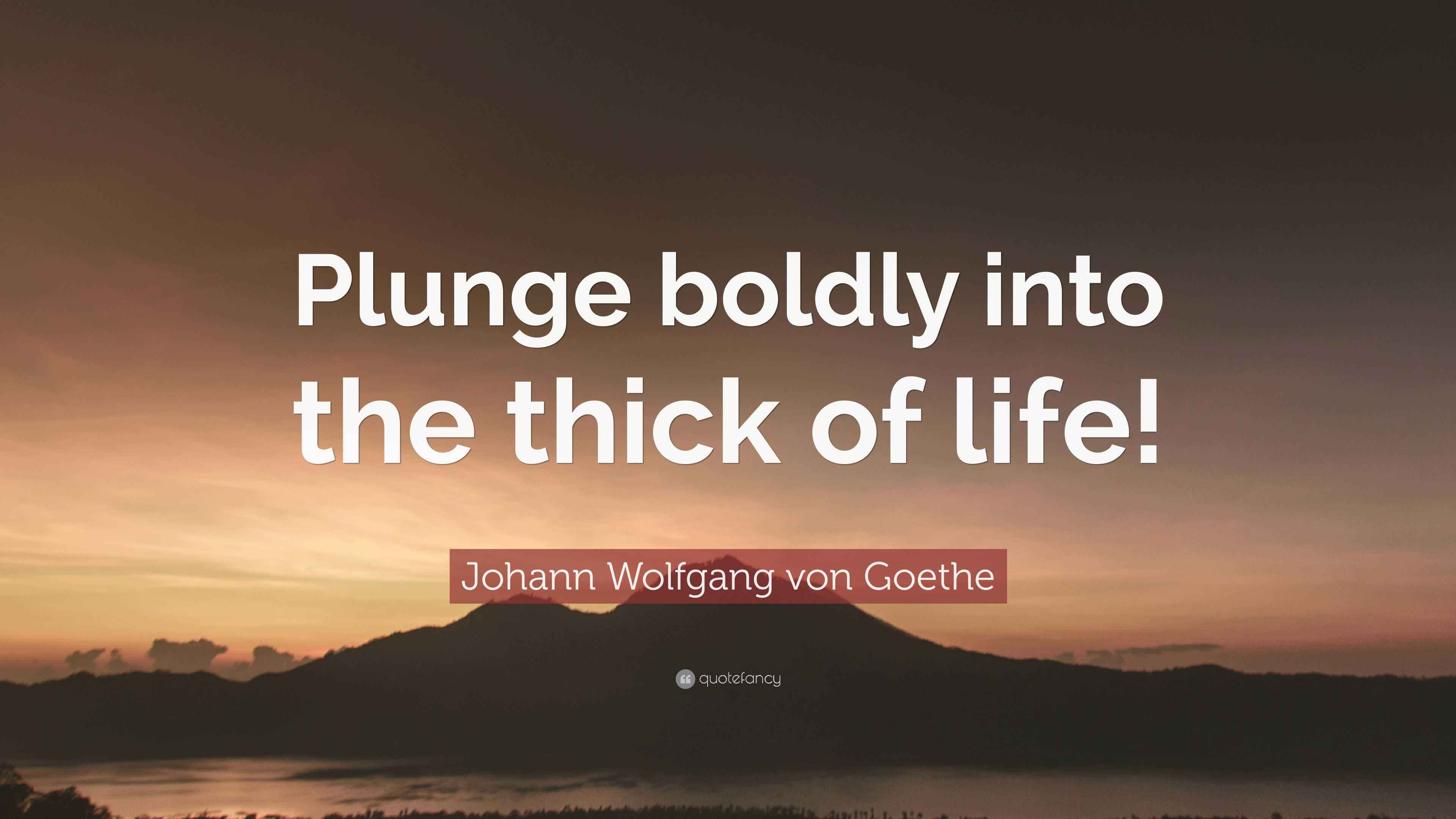 Johann Wolfgang von Goethe Quote: “Plunge boldly into the thick of life!”