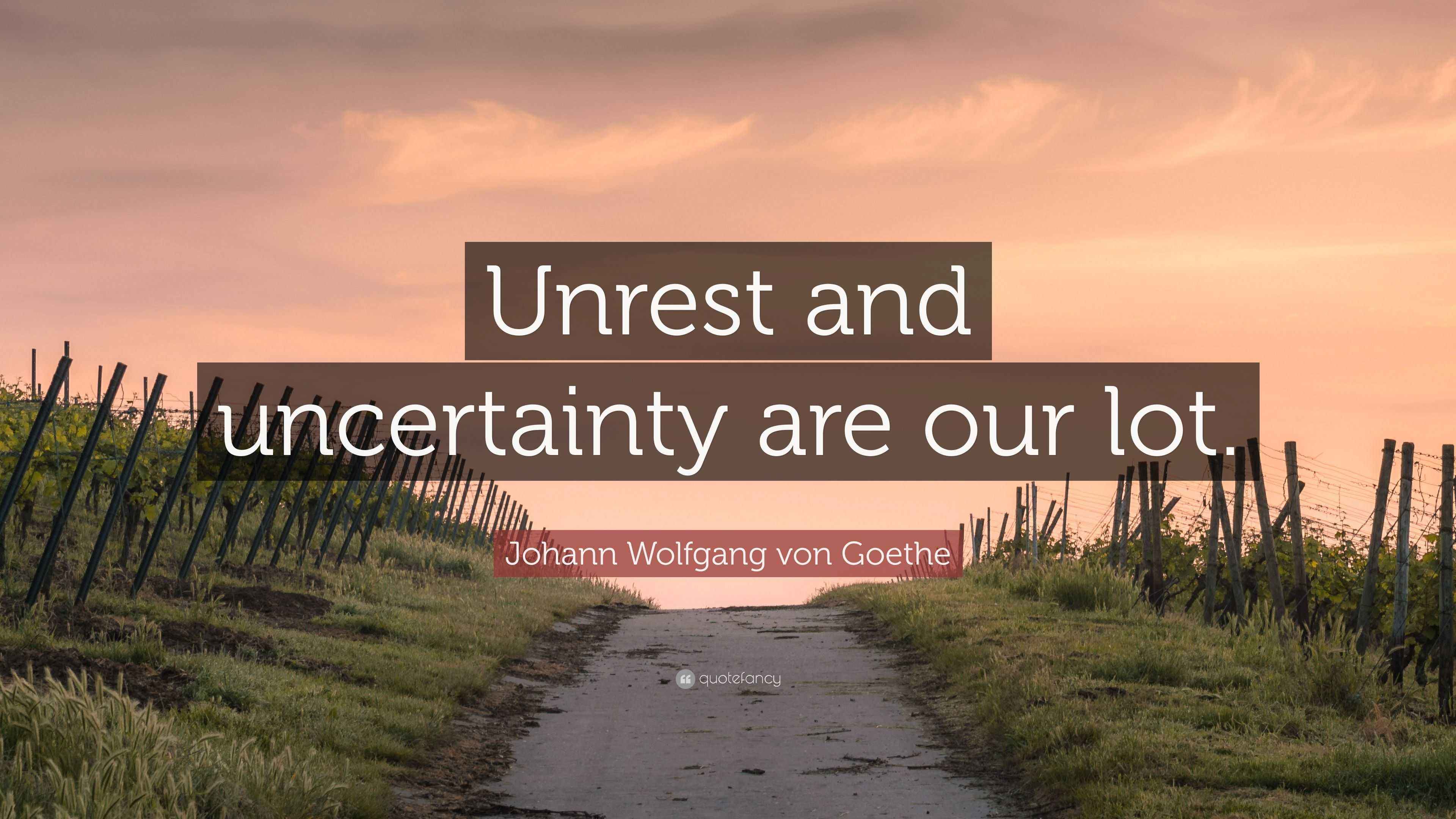 Johann Wolfgang von Goethe Quote: “Unrest and uncertainty are our lot.”