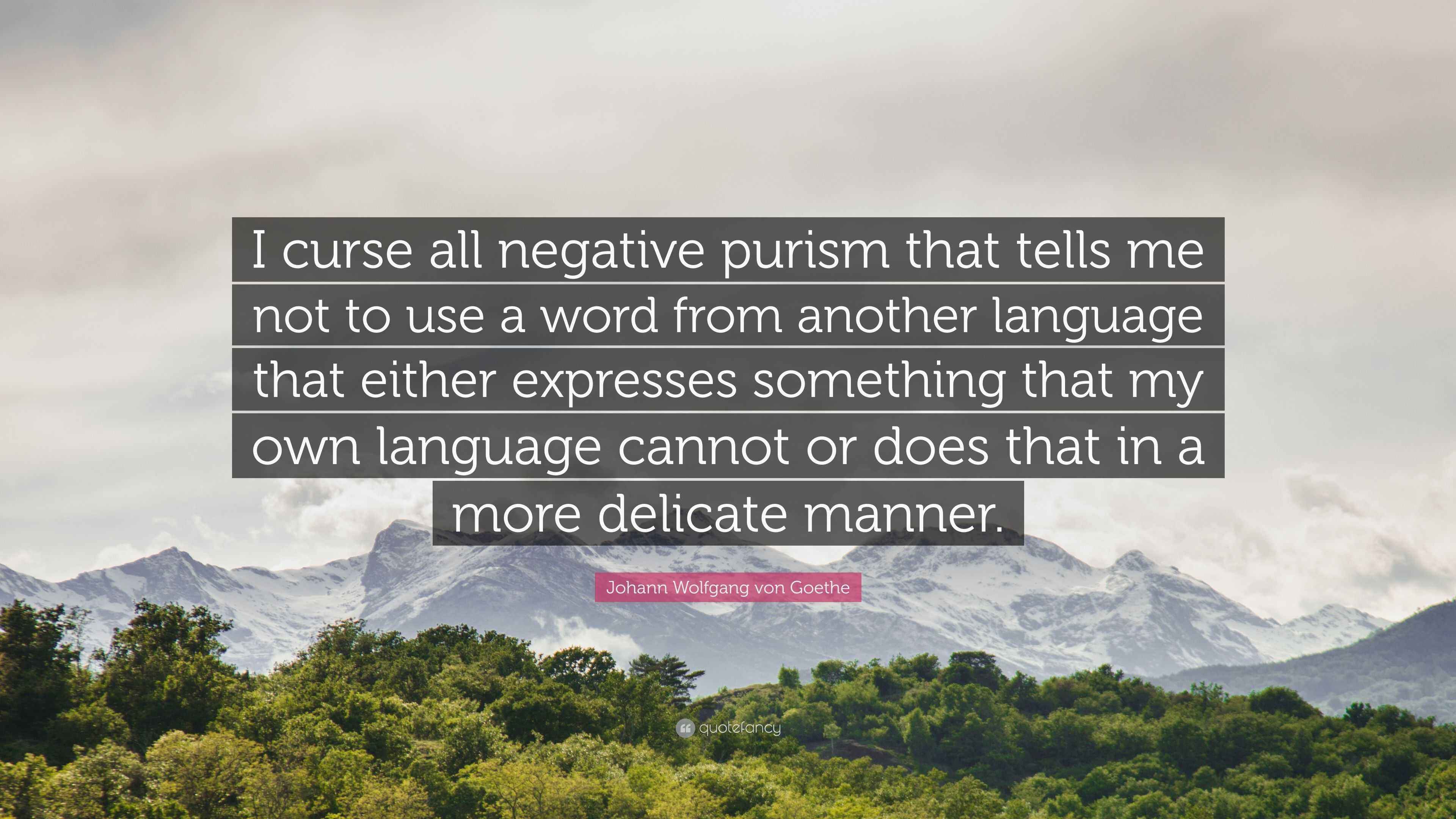 Johann Wolfgang von Goethe Quote: “I curse all negative purism that ...