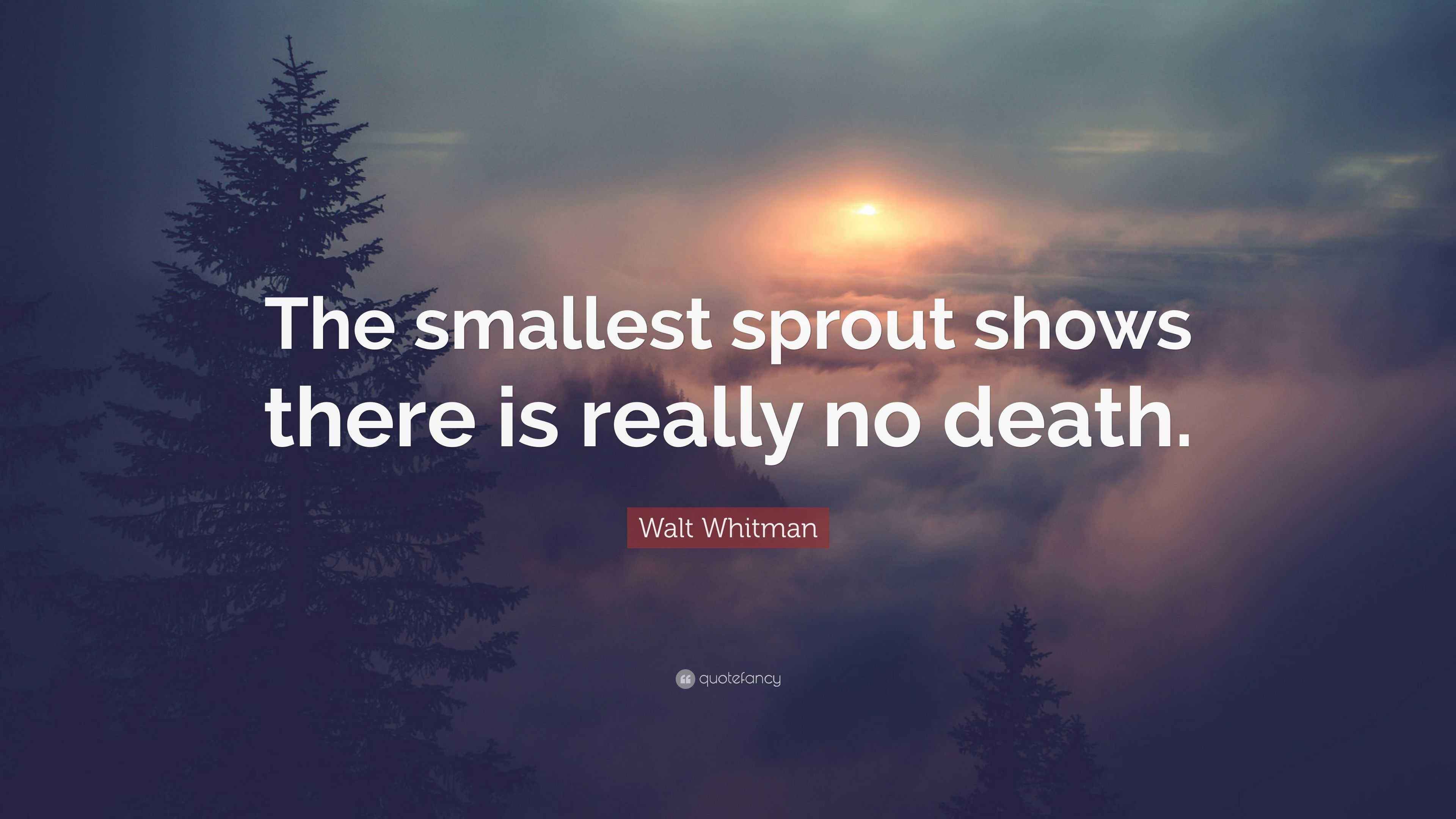 Walt Whitman Quote: “The smallest sprout shows there is really no death.”