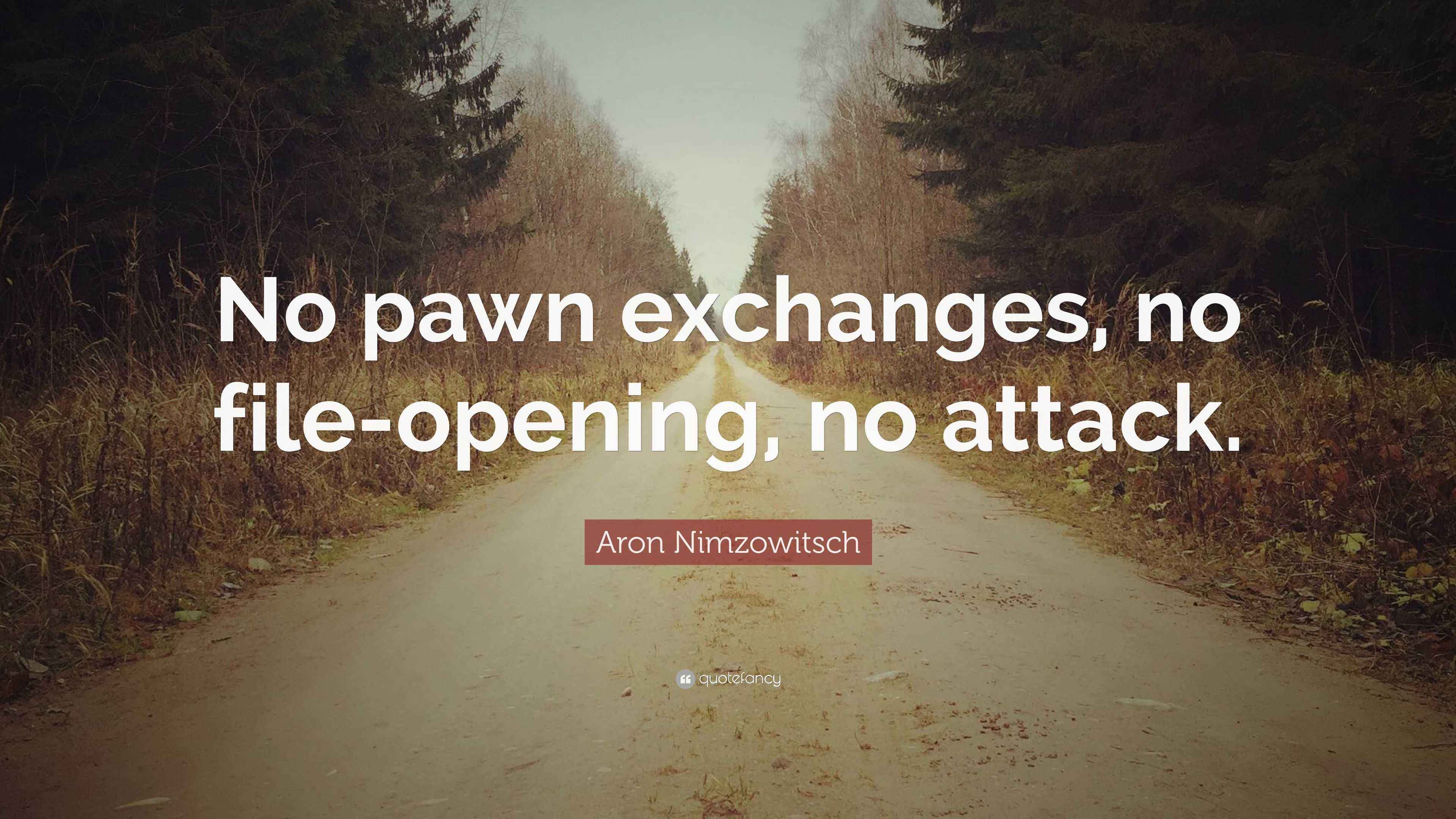 Aron Nimzowitsch Quote: “No pawn exchanges, no file-opening, no attack.”