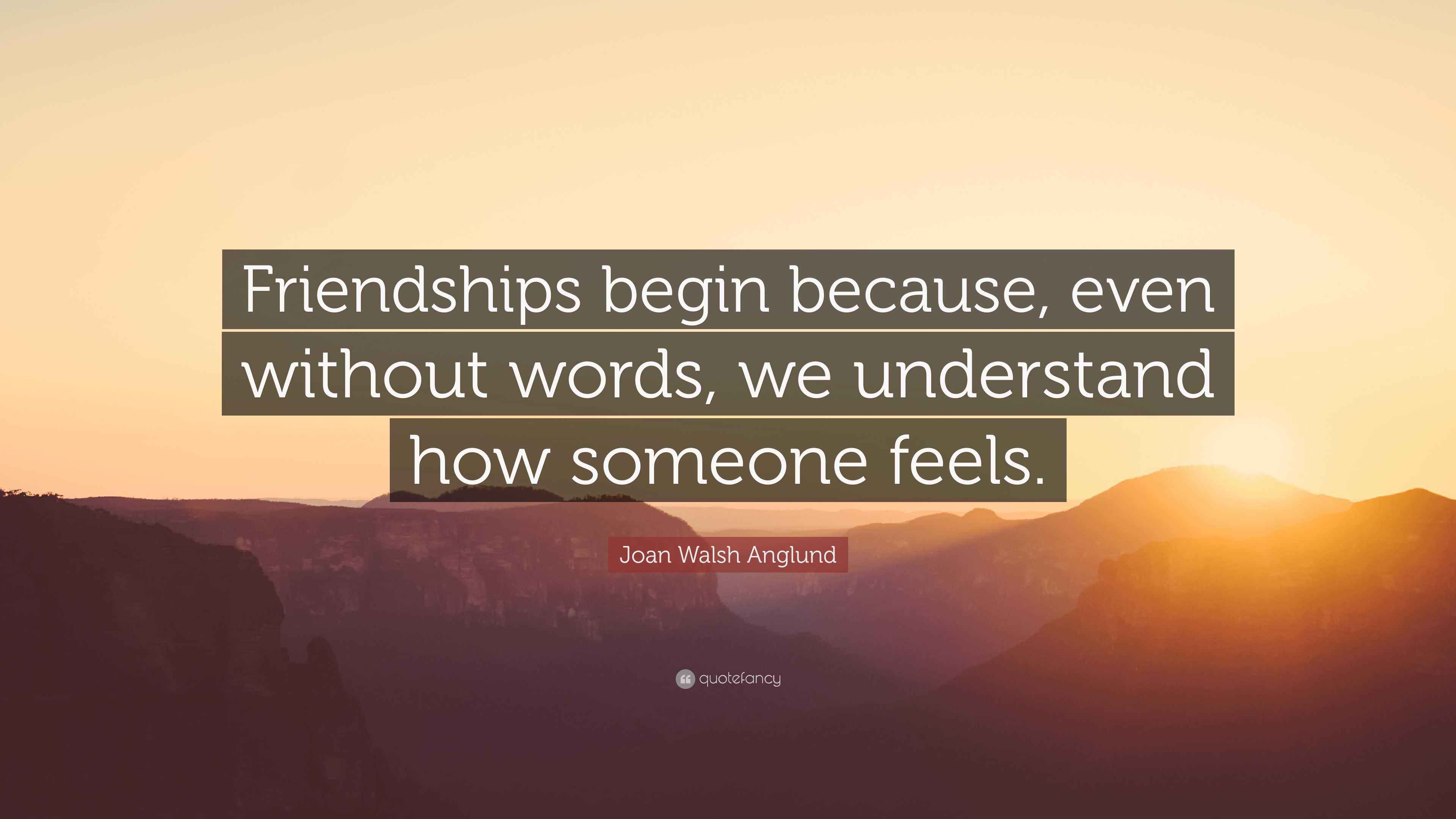 Joan Walsh Anglund Quote: “Friendships begin because, even without ...