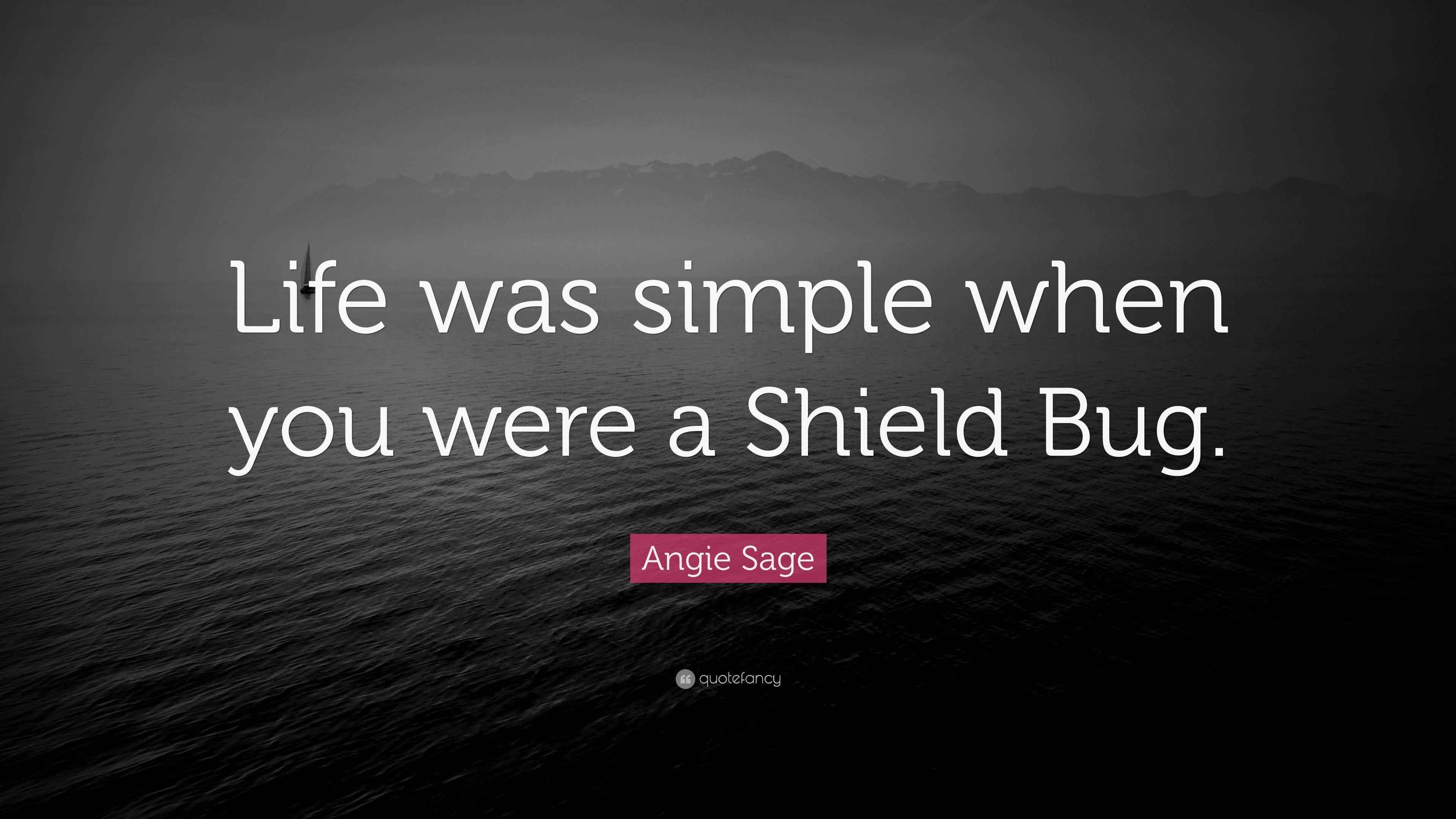 Angie Sage Quote: “Life was simple when you were a Shield Bug.”