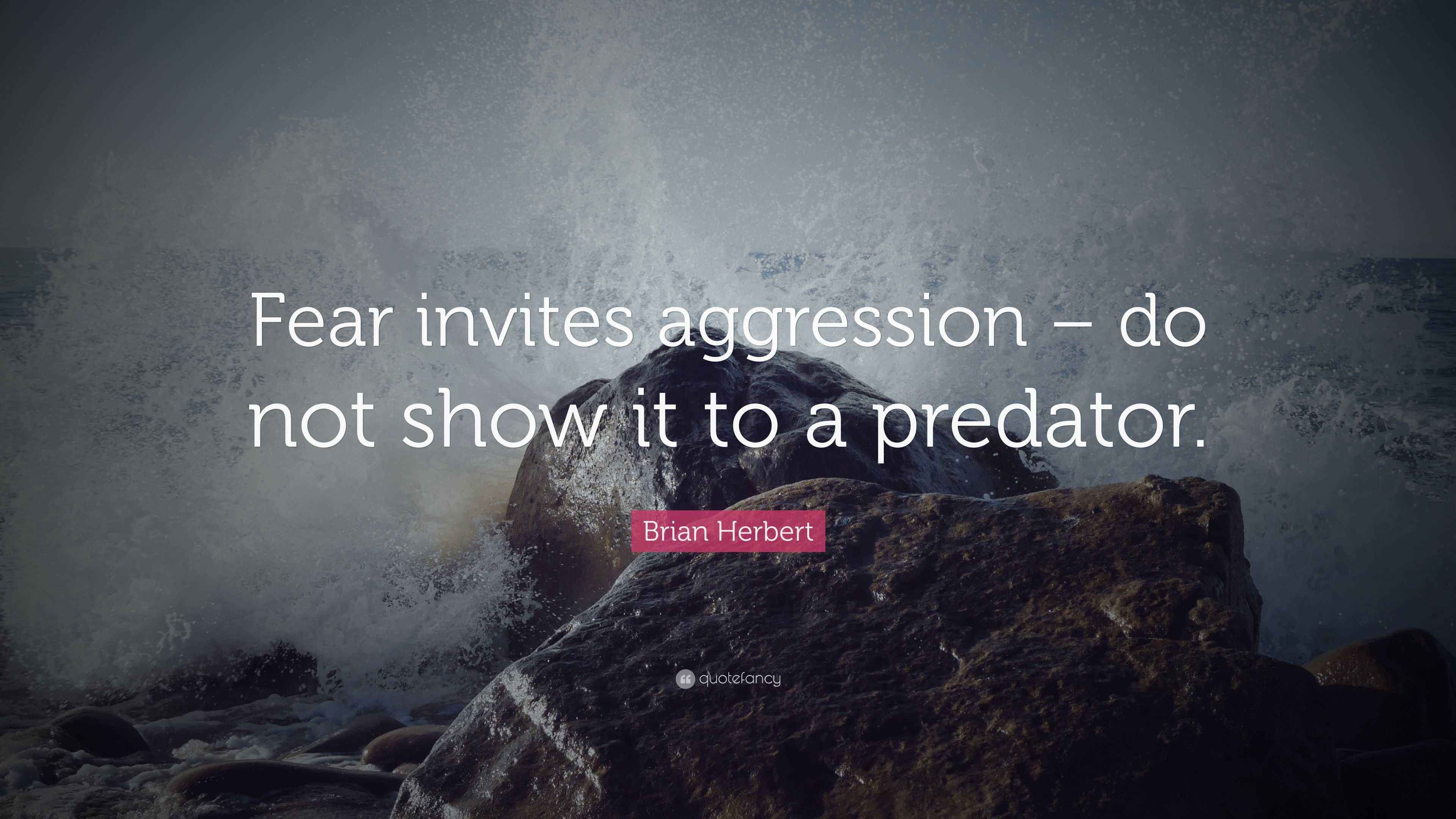 Brian Herbert Quote: “Fear invites aggression – do not show it to a ...