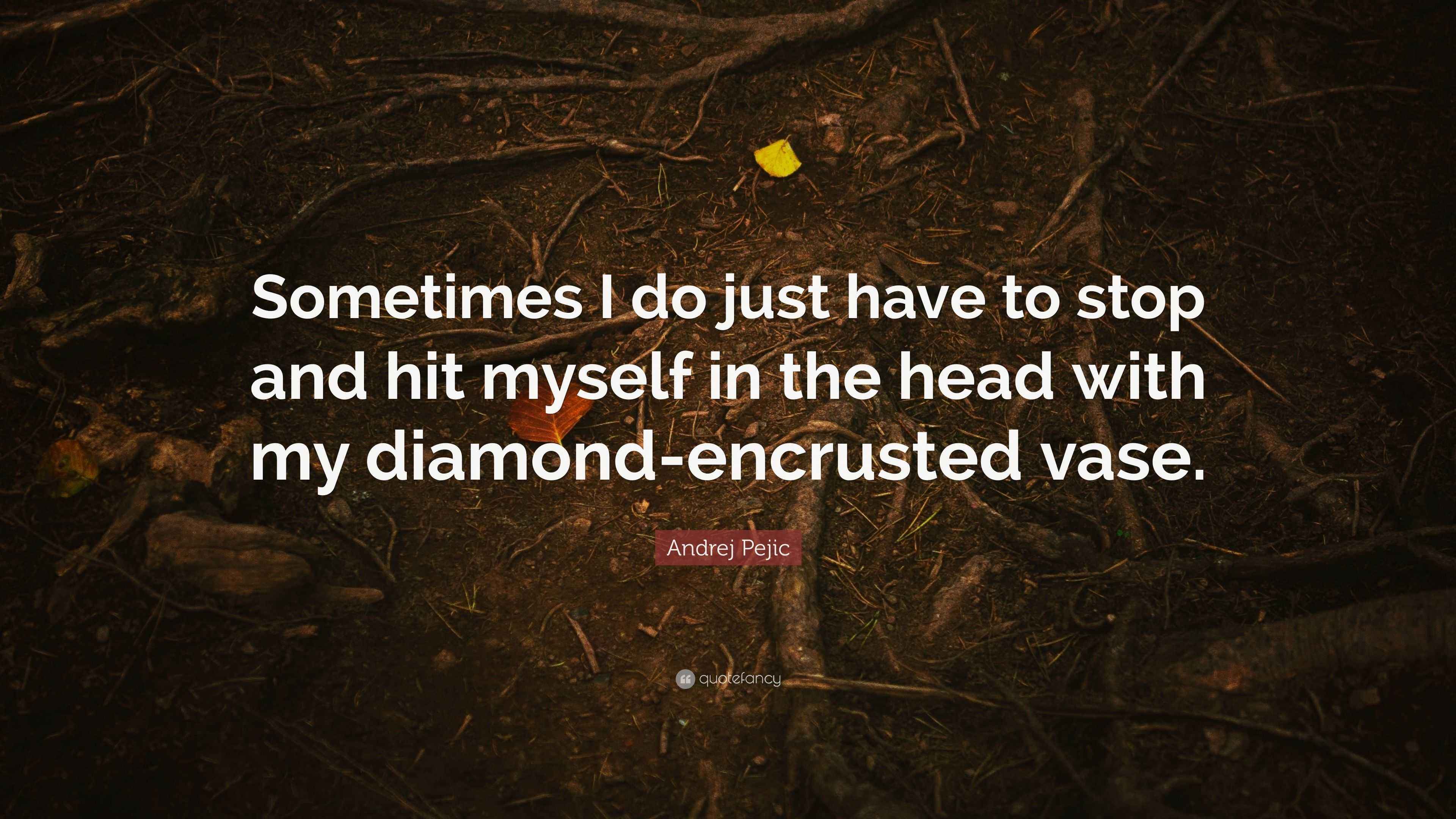 Andrej Pejic Quote: “Sometimes I do just have to stop and hit myself in ...