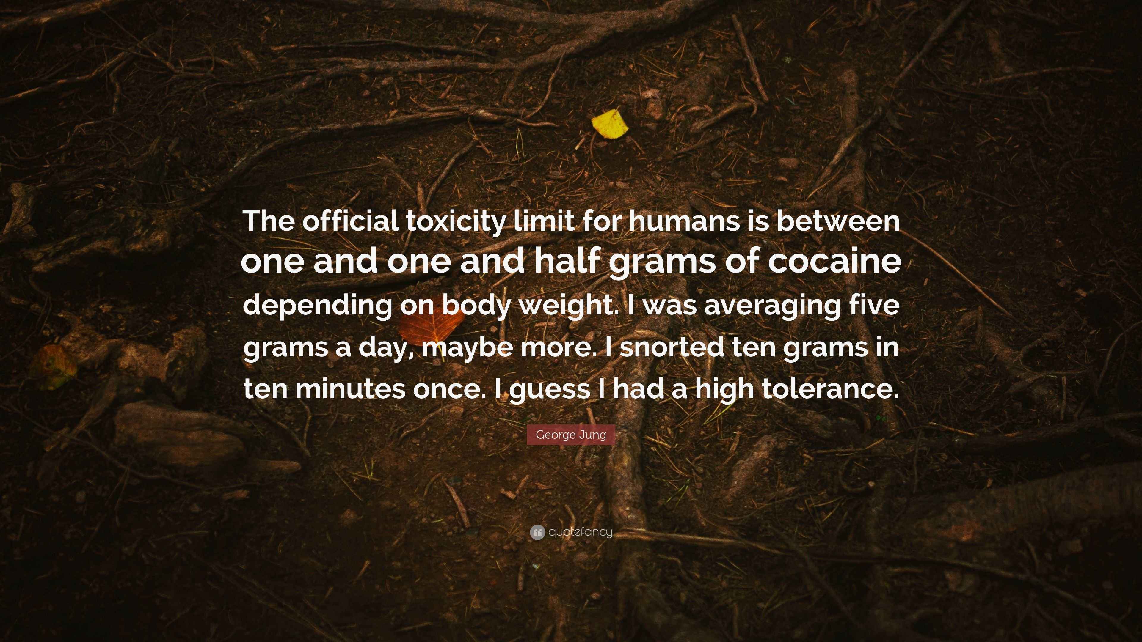 George Jung Quote: “The official toxicity limit for humans is between ...