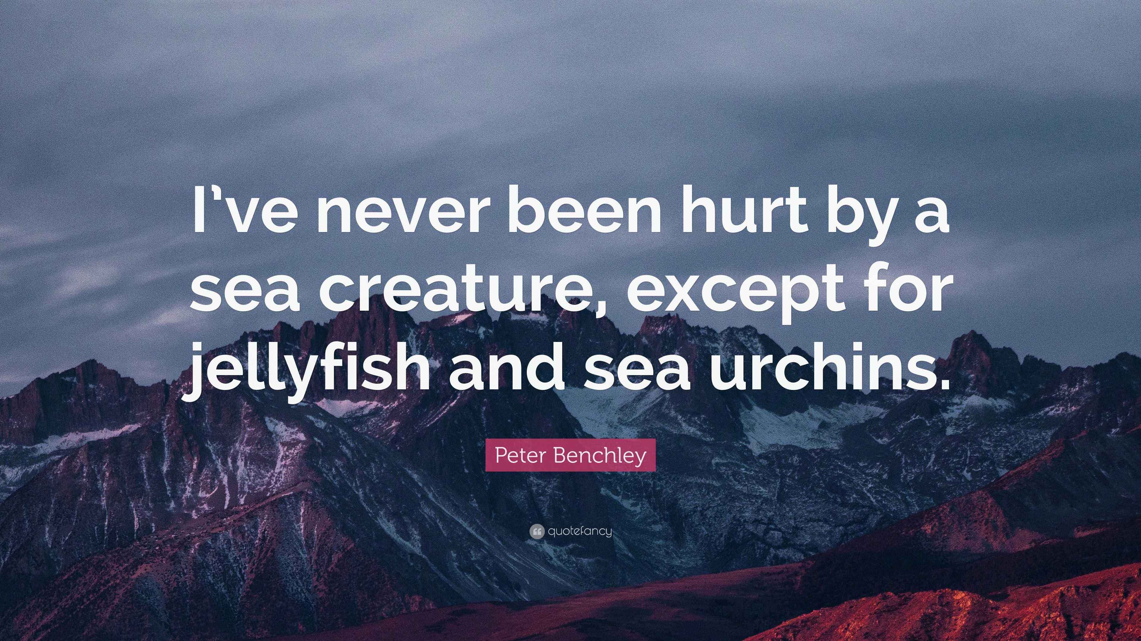 Peter Benchley Quote: “I’ve never been hurt by a sea creature, except ...