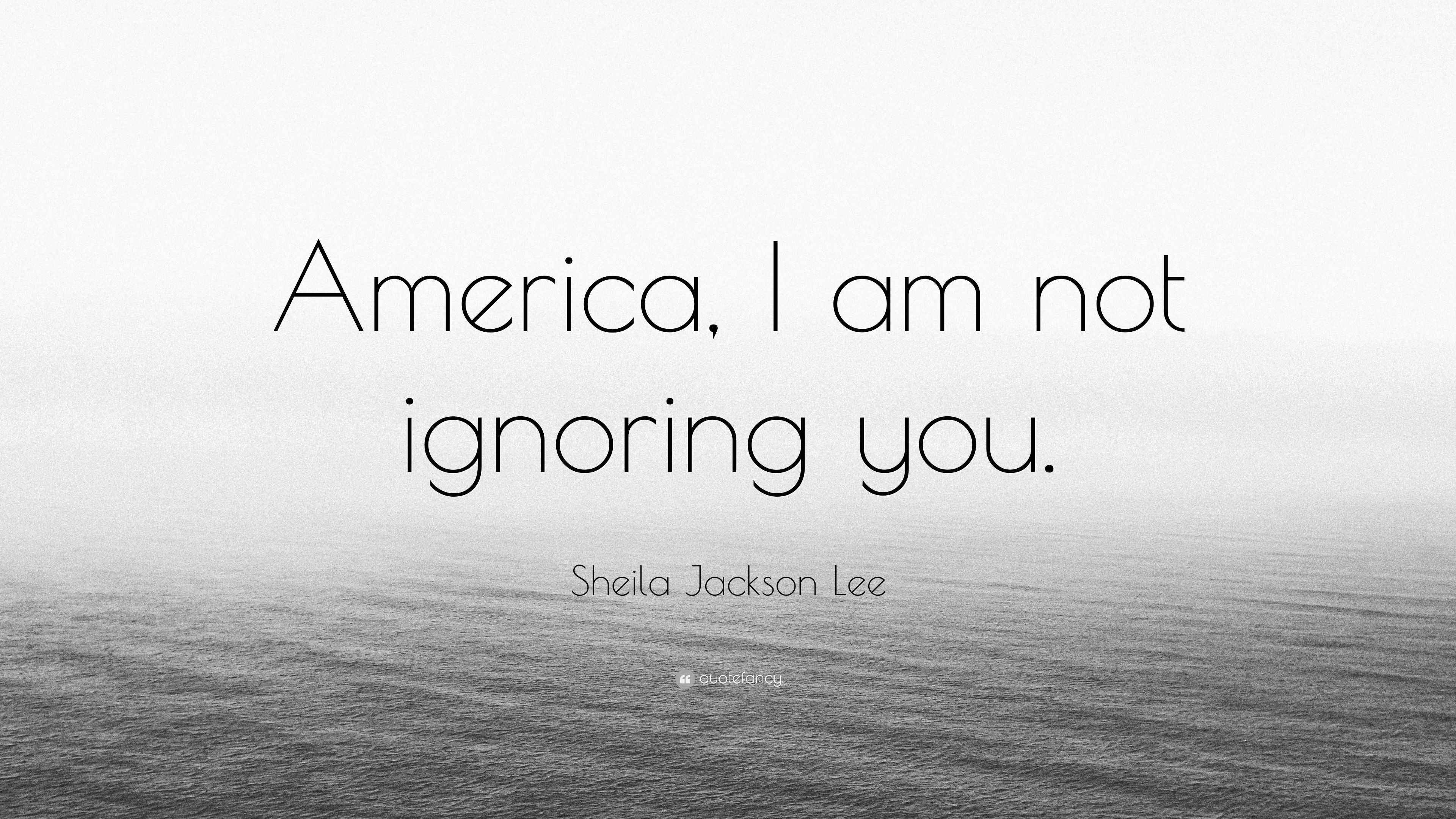 Sheila Jackson Lee Quote: “America, I am not ignoring you.”
