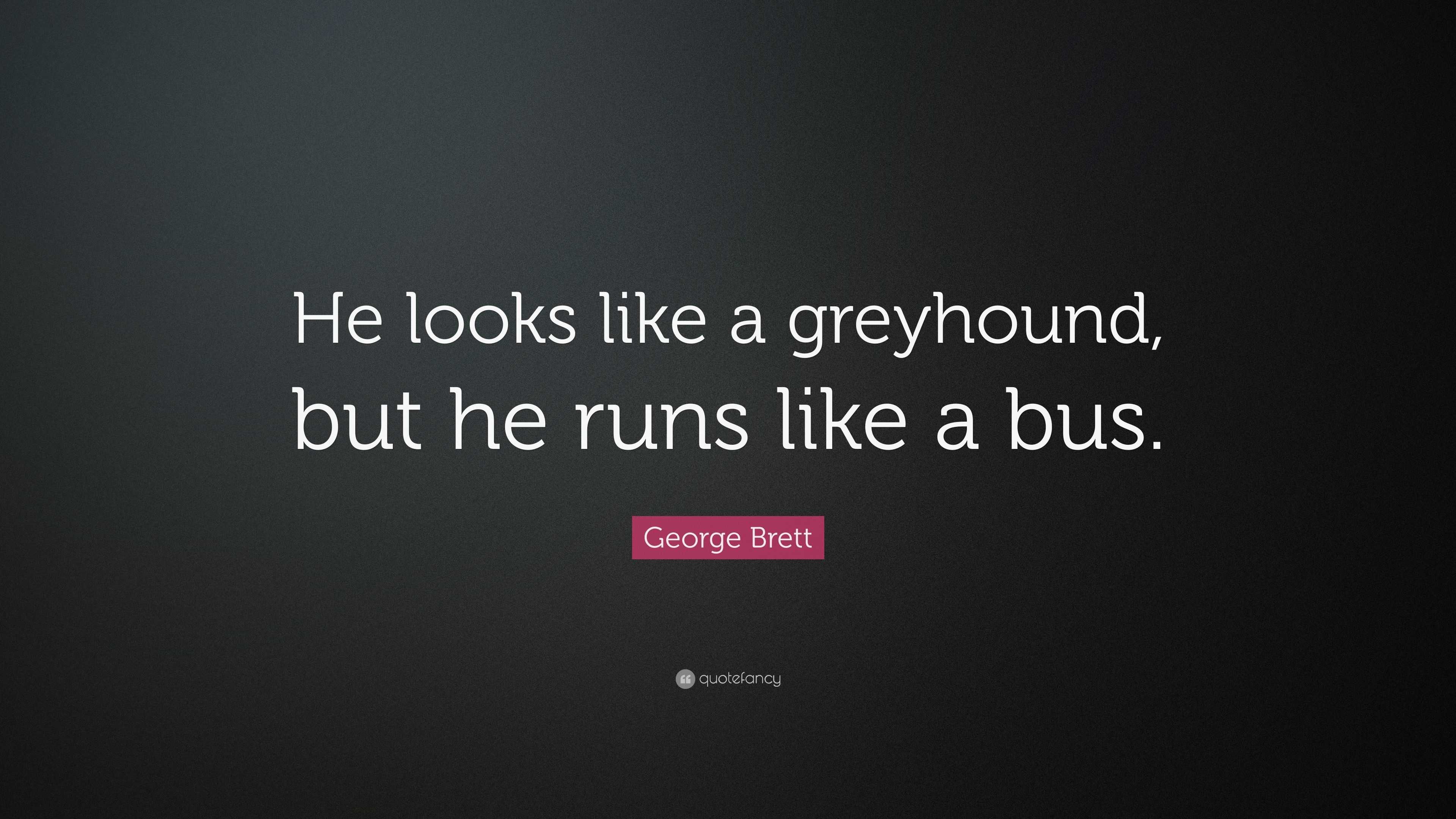 George Brett Quote: “He looks like a greyhound, but he runs like a bus.”