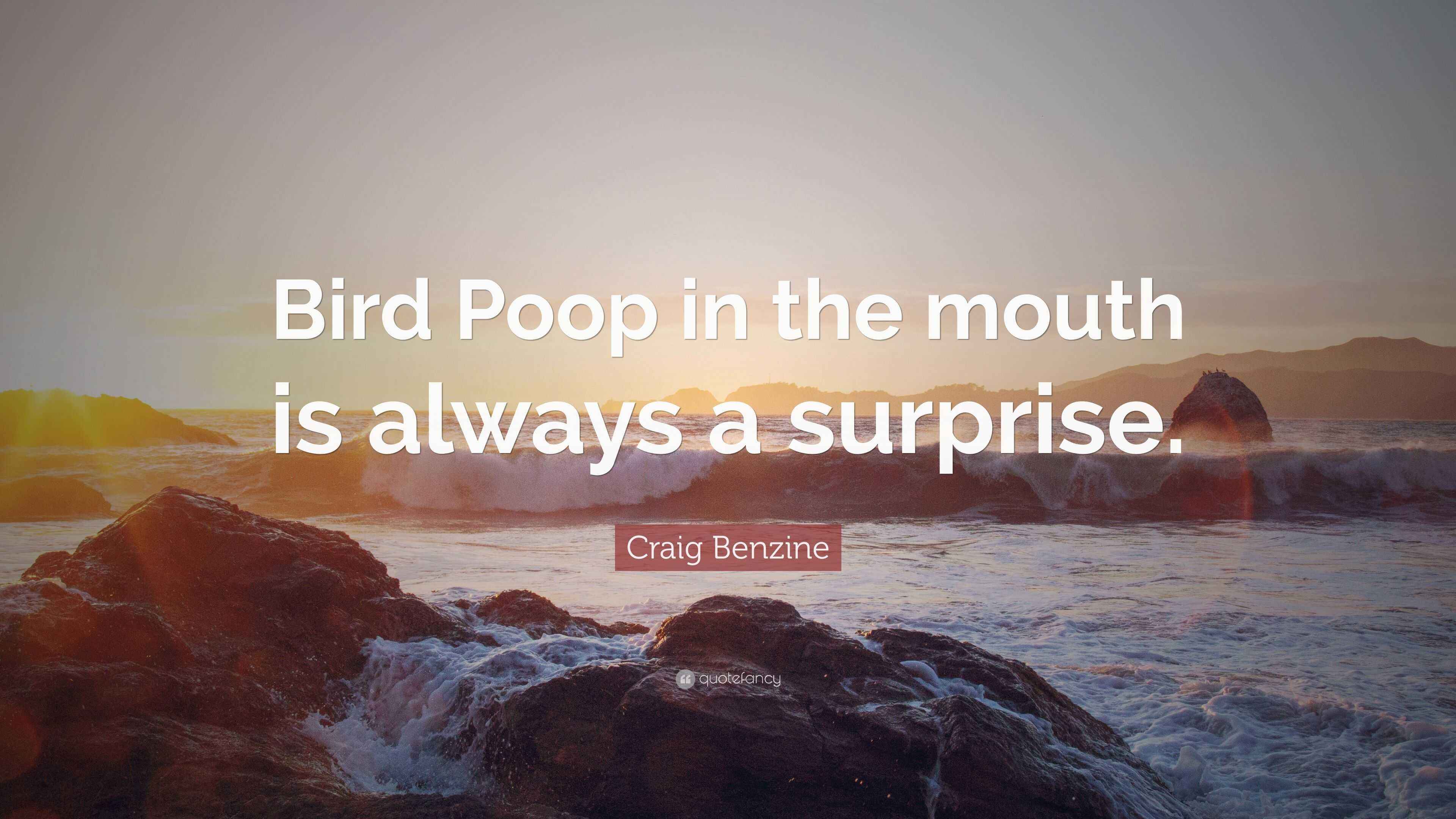 Craig Benzine Quote: “Bird Poop in the mouth is always a surprise.”