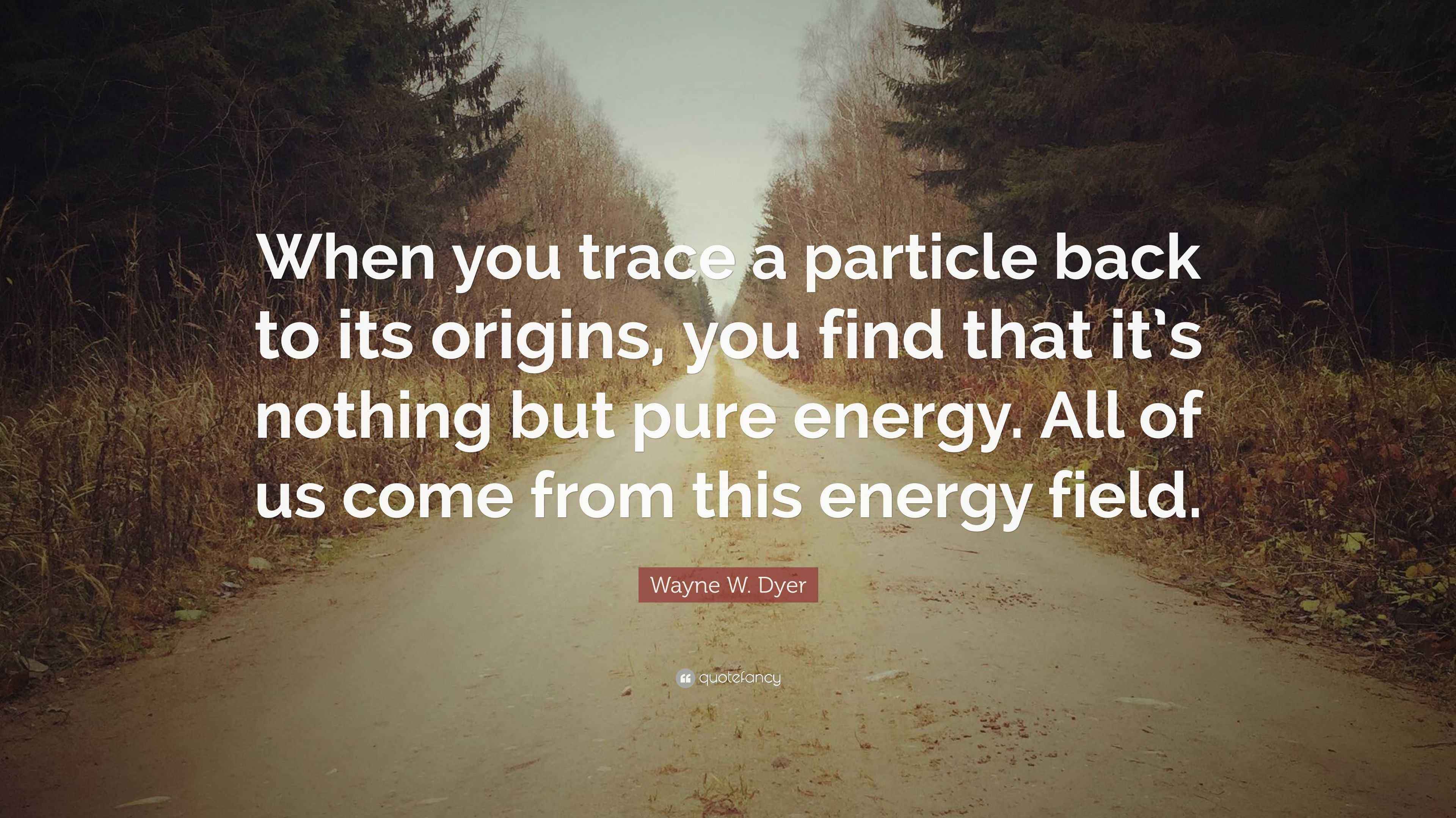 Wayne W. Dyer Quote: “When you trace a particle back to its origins ...