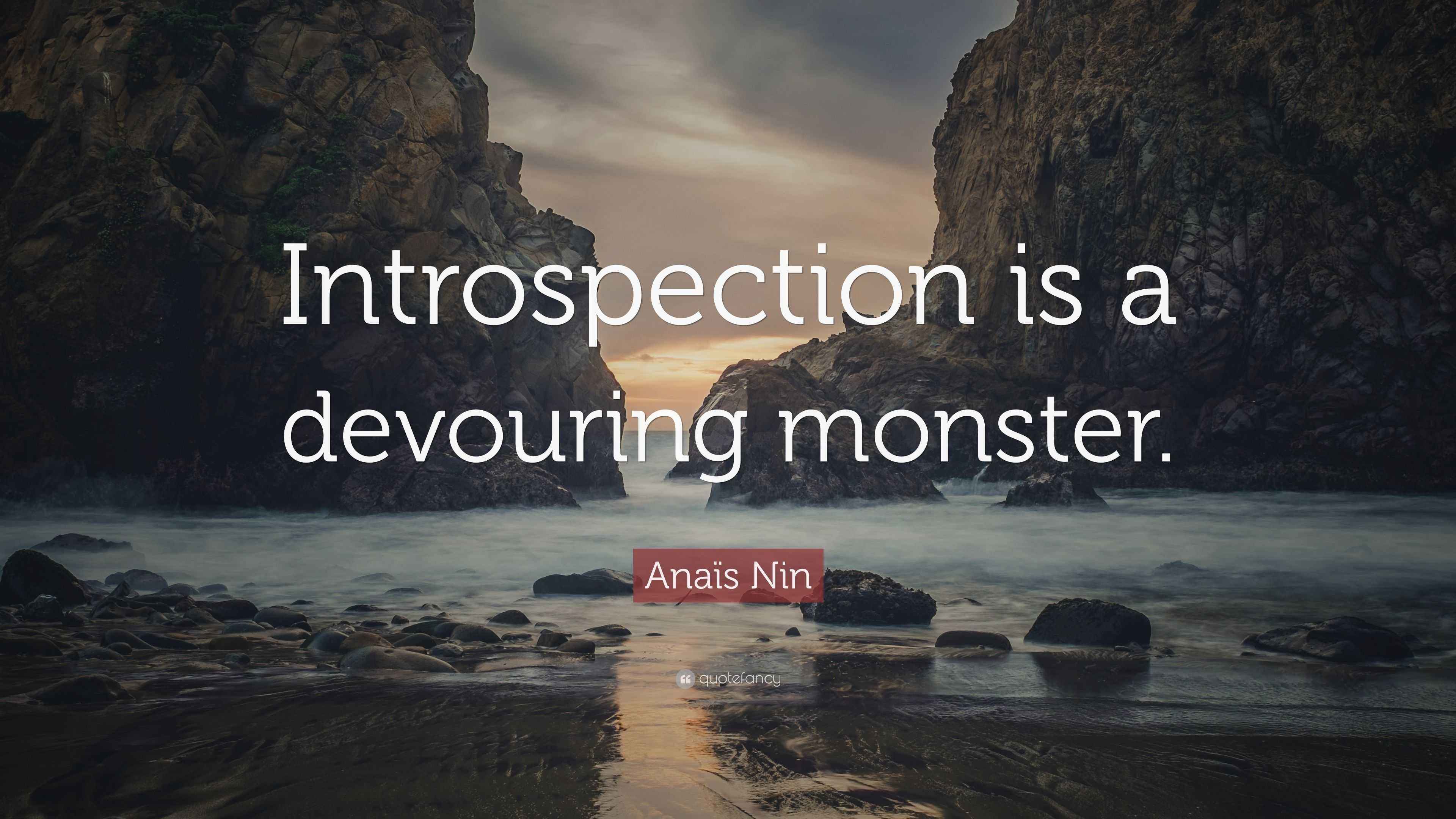 Anaïs Nin Quote: “Introspection is a devouring monster.”