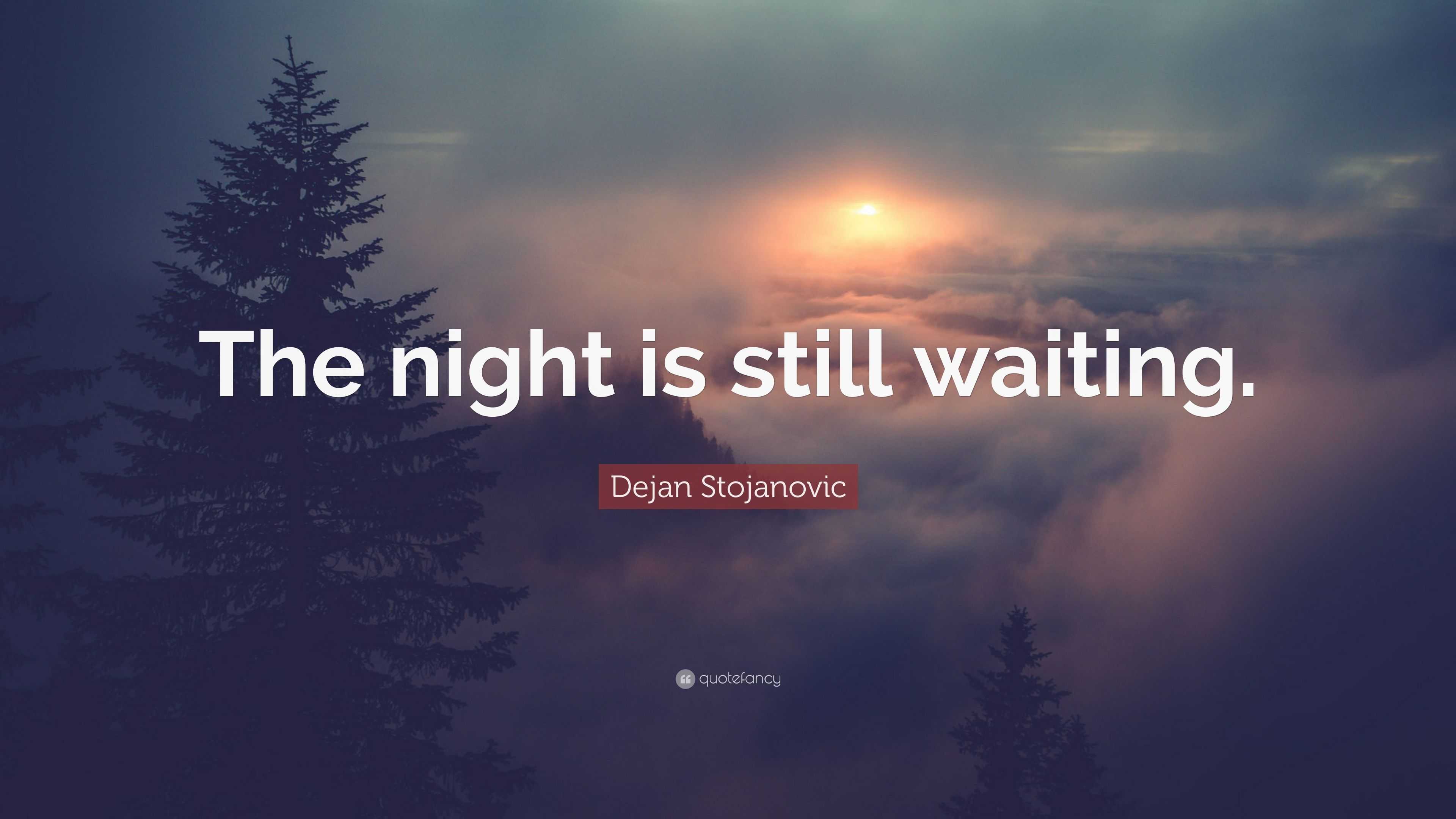 Dejan Stojanovic Quote: “The night is still waiting.”