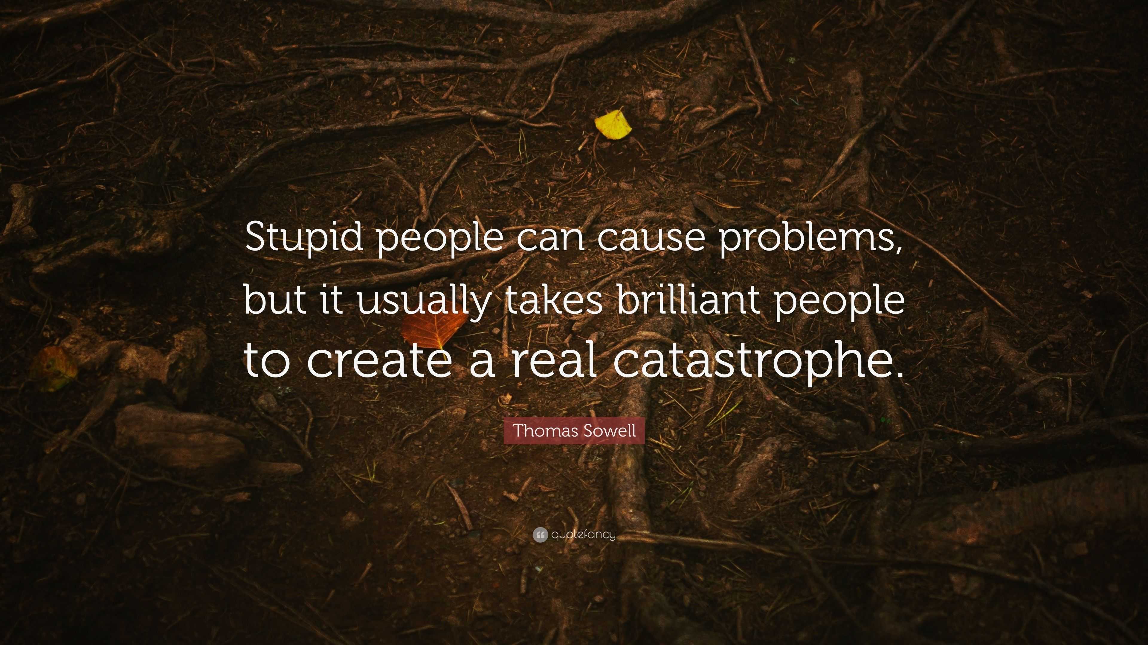 Thomas Sowell Quote: “Stupid people can cause problems, but it usually ...