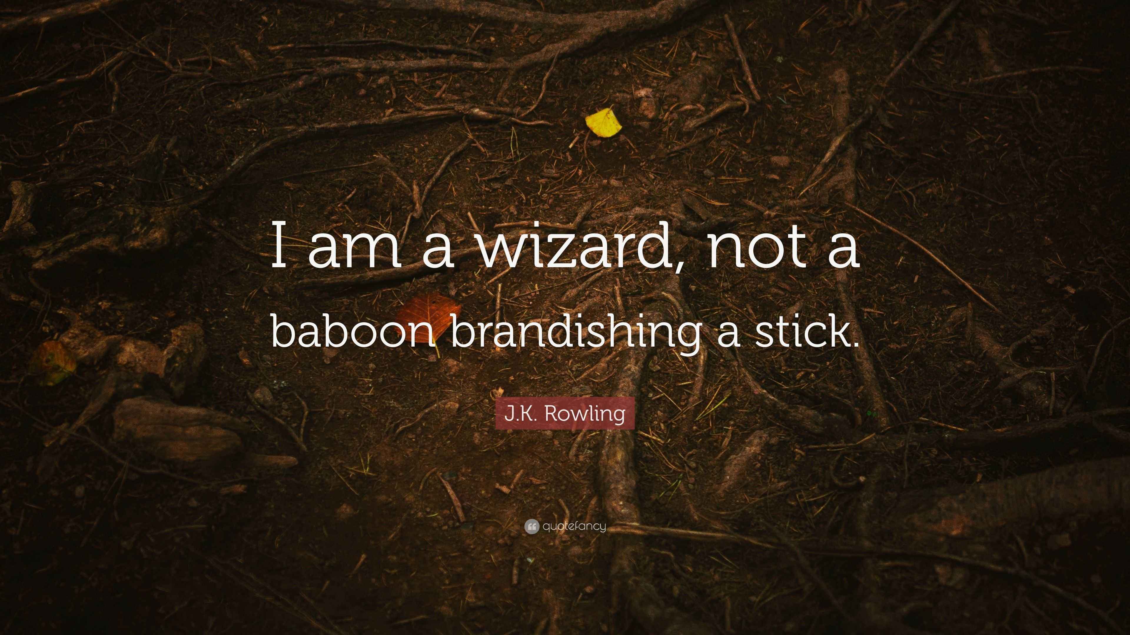 J.K. Rowling Quote: “I am a wizard, not a baboon brandishing a stick.”