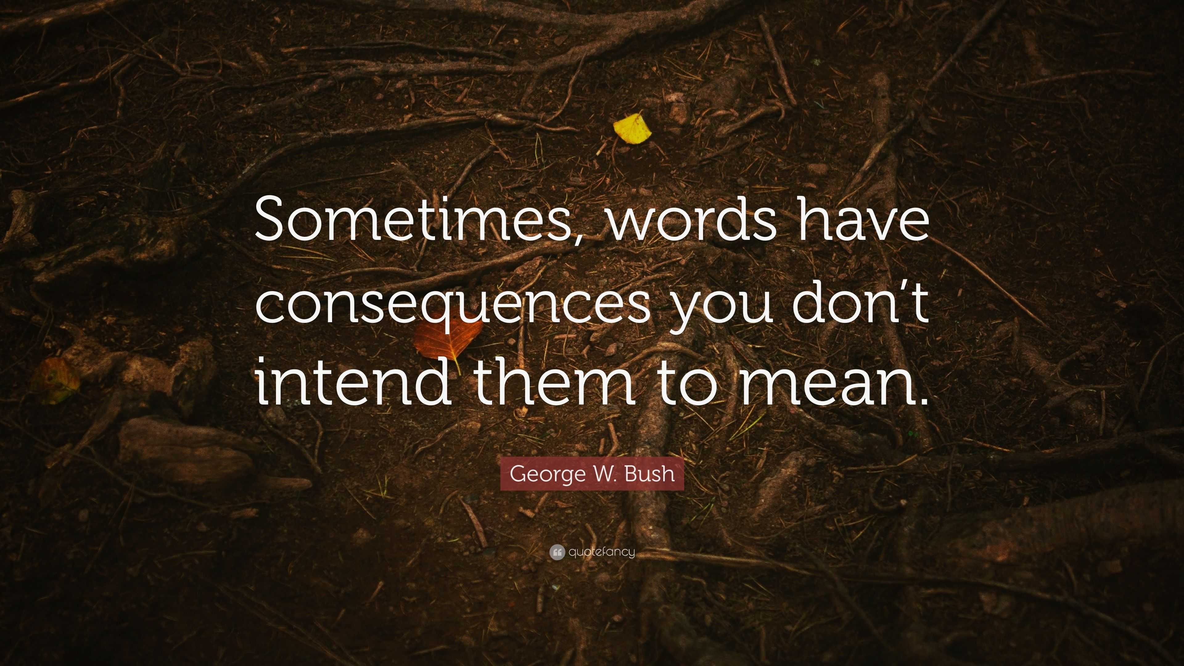 George W. Bush Quote: “Sometimes, words have consequences you don’t ...
