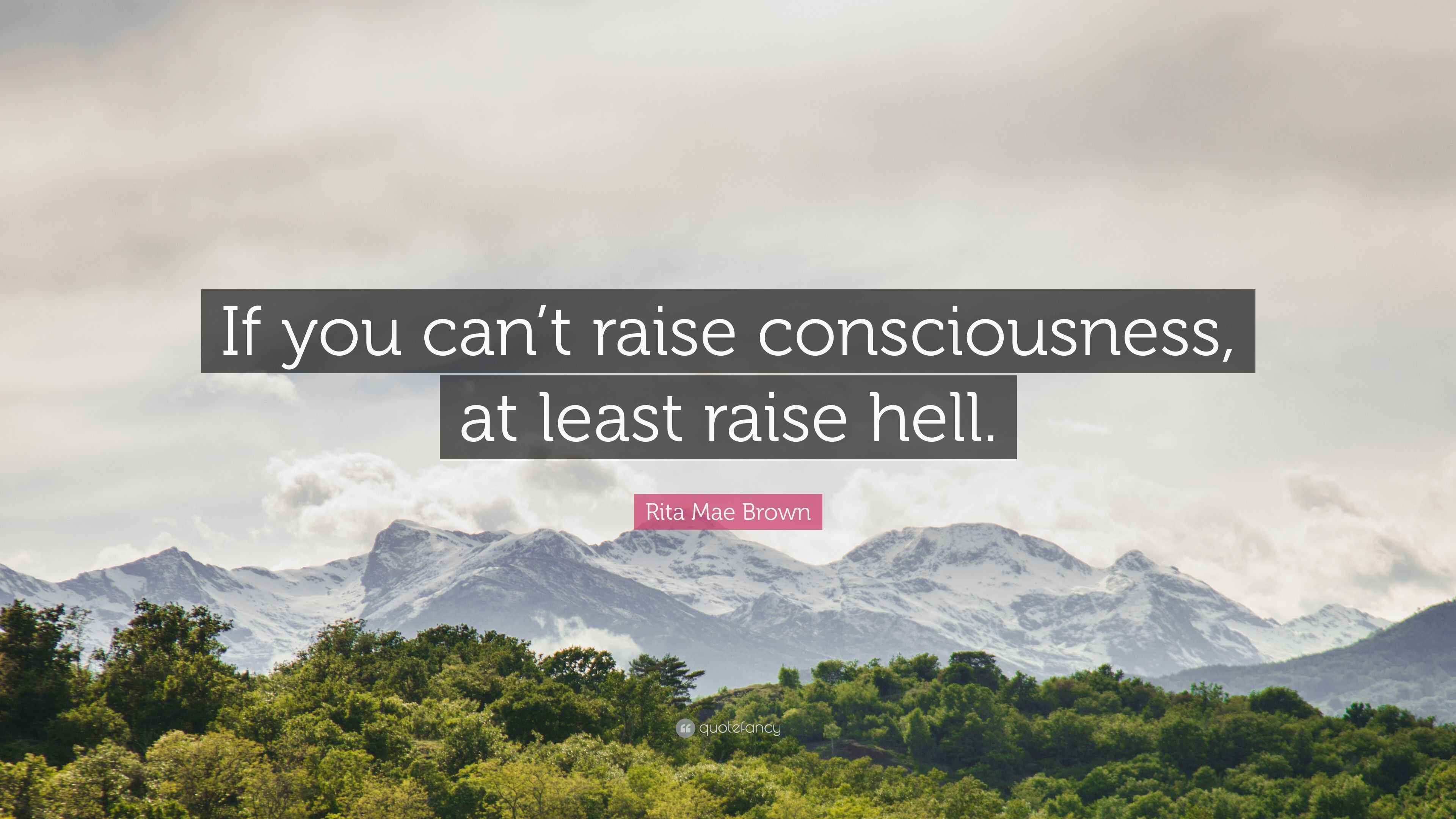 Rita Mae Brown Quote: “If you can’t raise consciousness, at least raise ...
