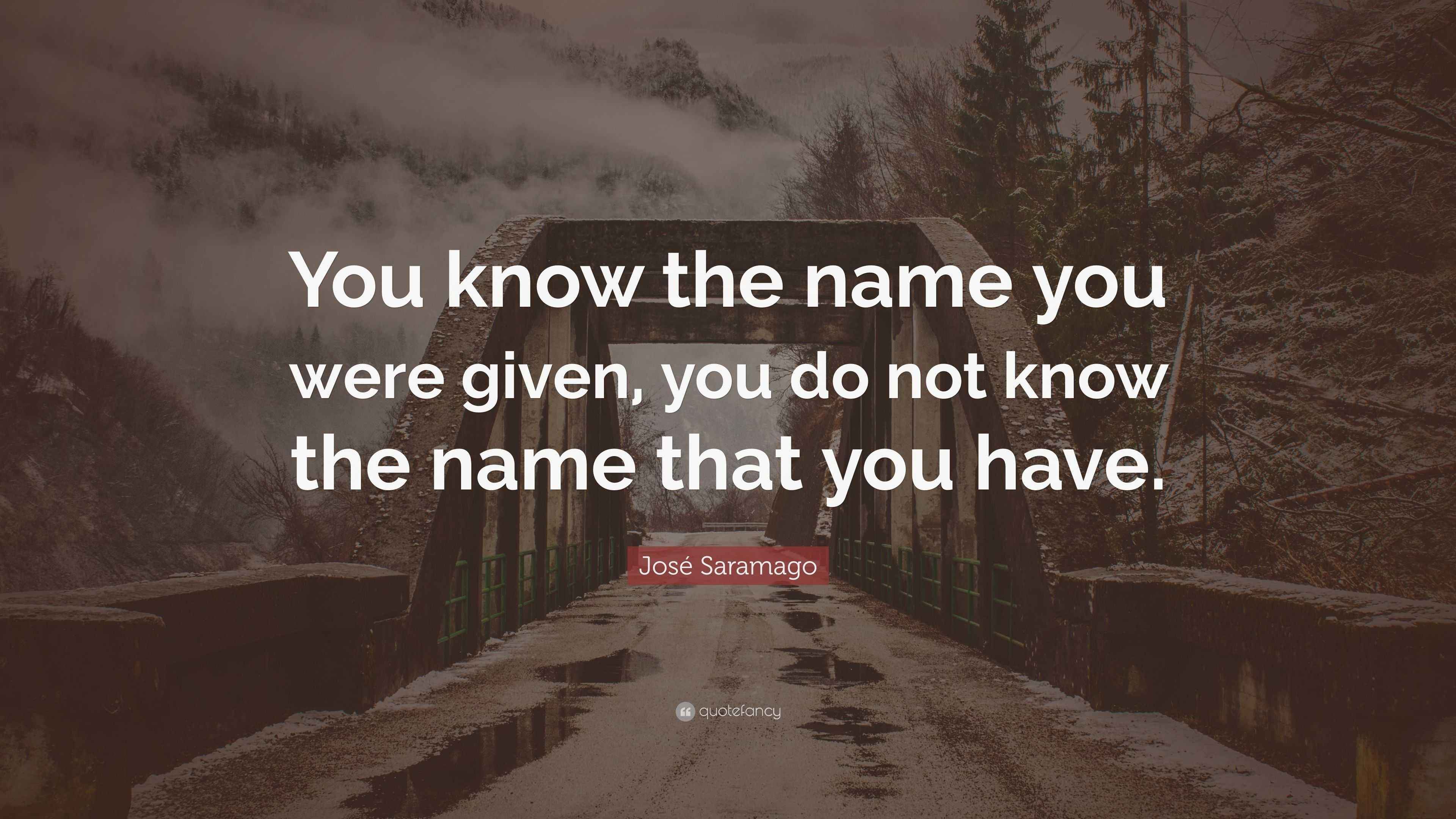 José Saramago Quote: “You know the name you were given, you do not know ...