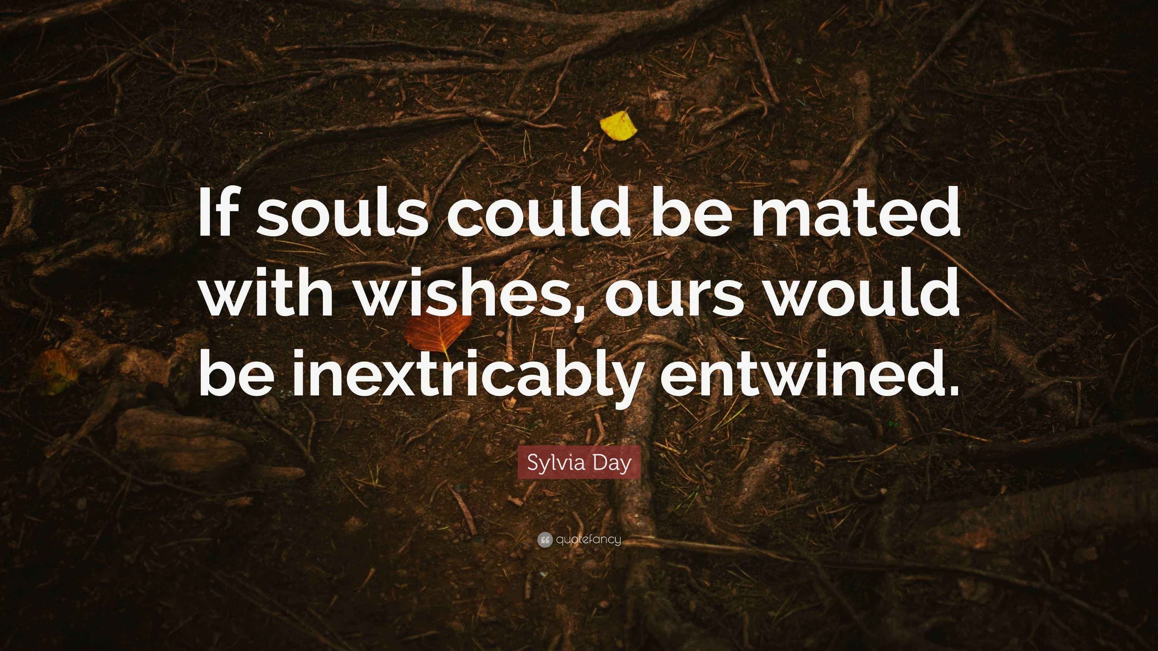 Sylvia Day Quote: “If souls could be mated with wishes, ours would be ...