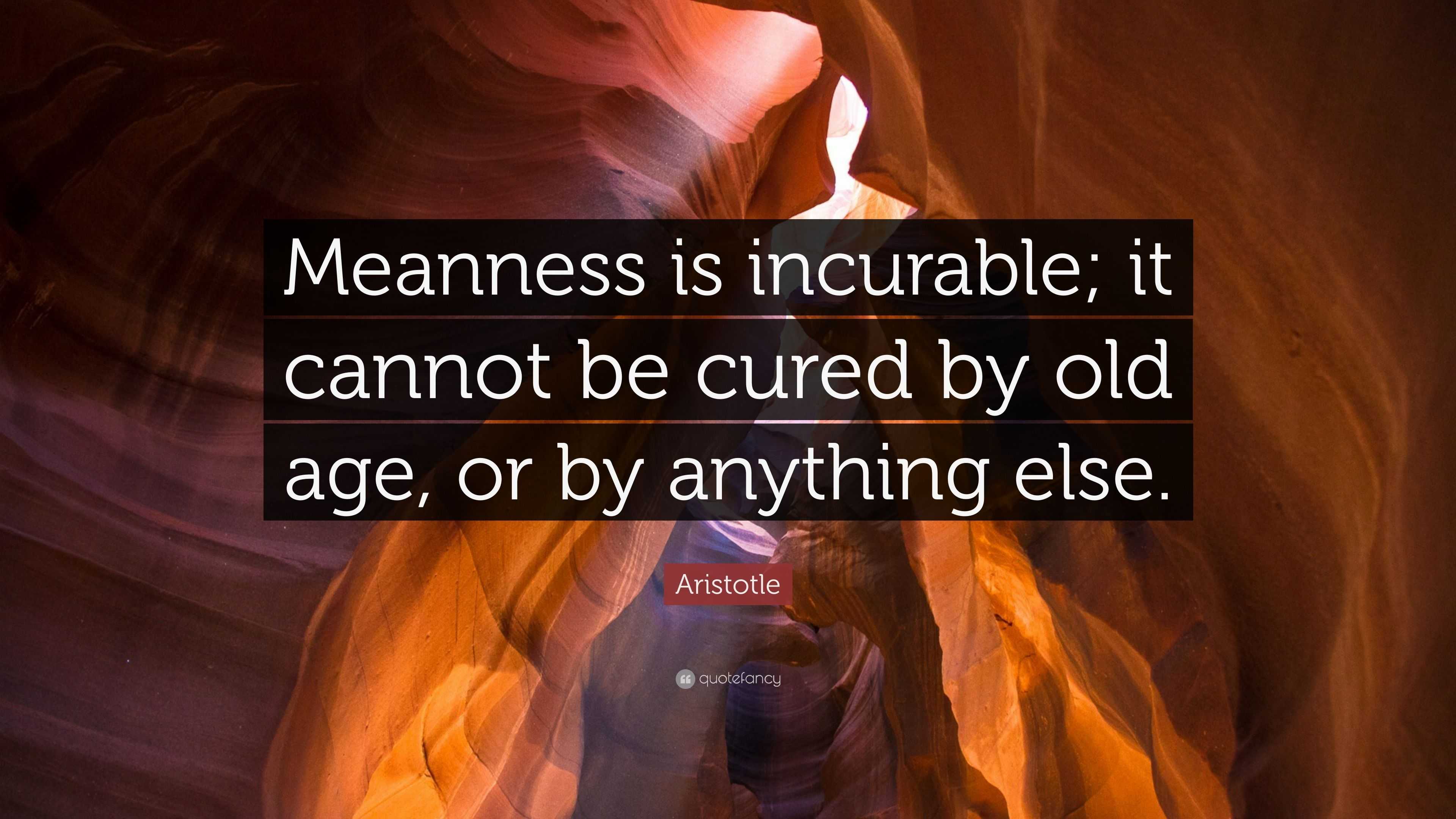 Aristotle Quote: “Meanness is incurable; it cannot be cured by old age ...