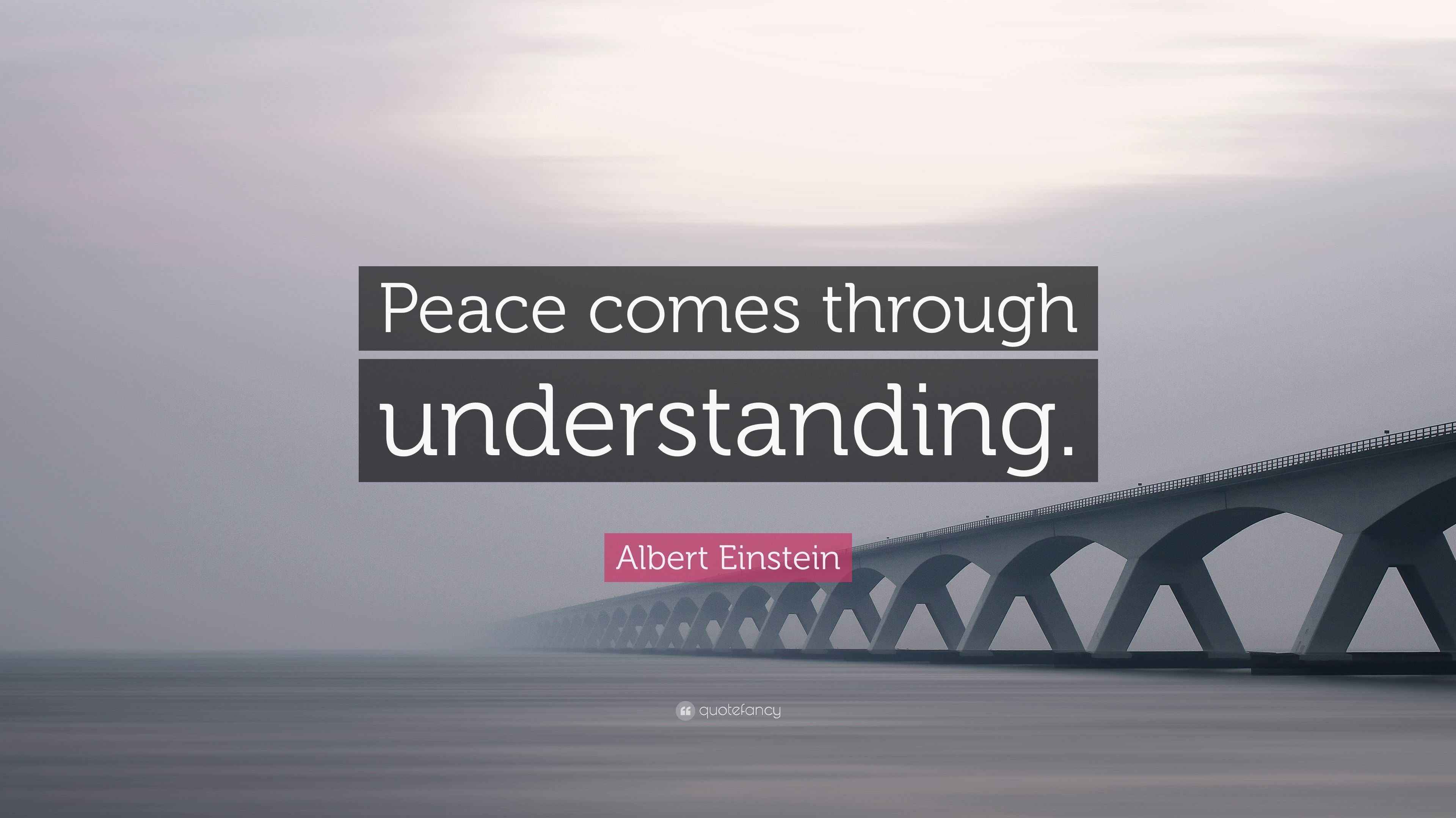 Albert Einstein Quote: “Peace comes through understanding.”