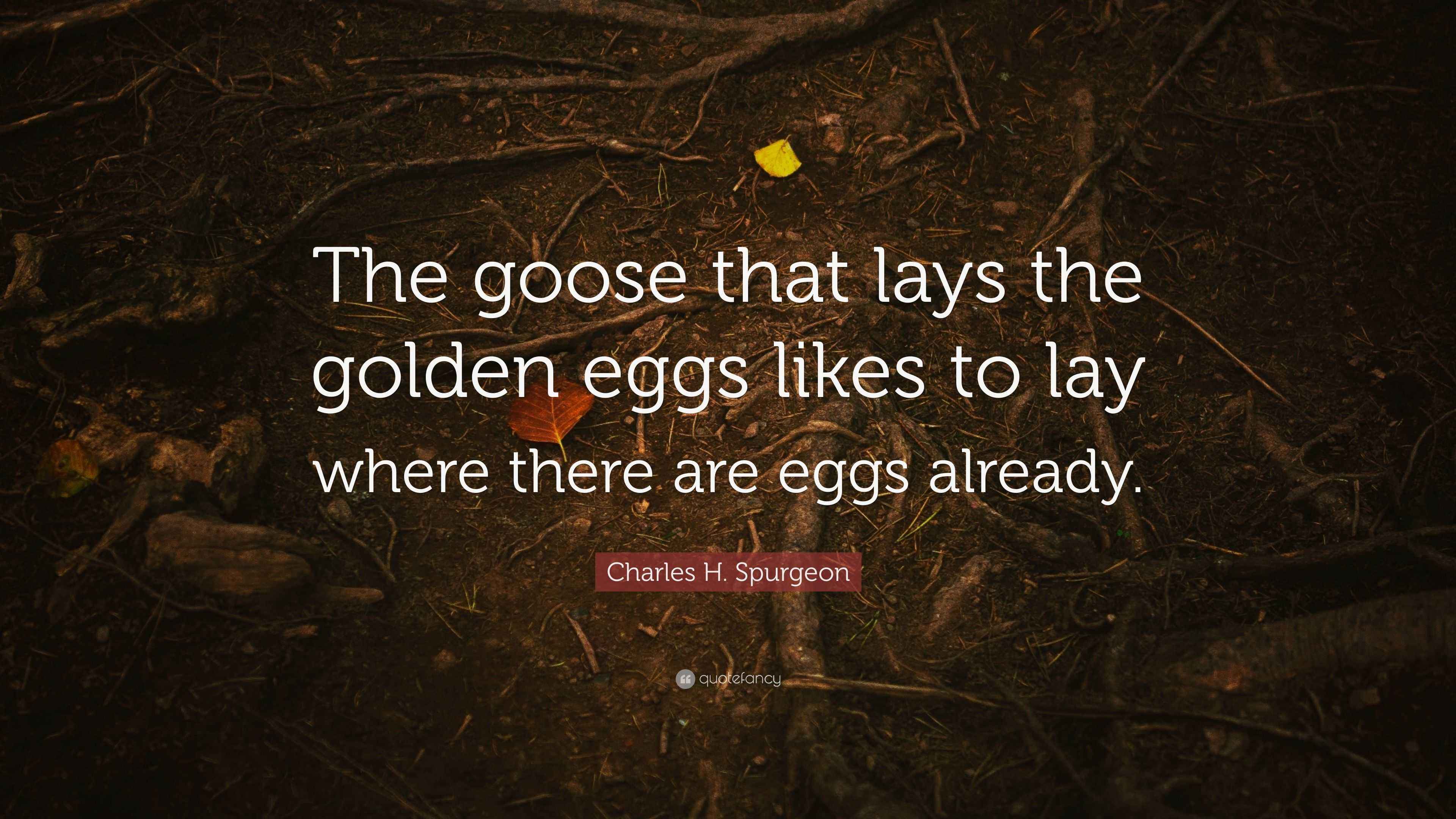 Charles H. Spurgeon Quote: “The goose that lays the golden eggs likes ...