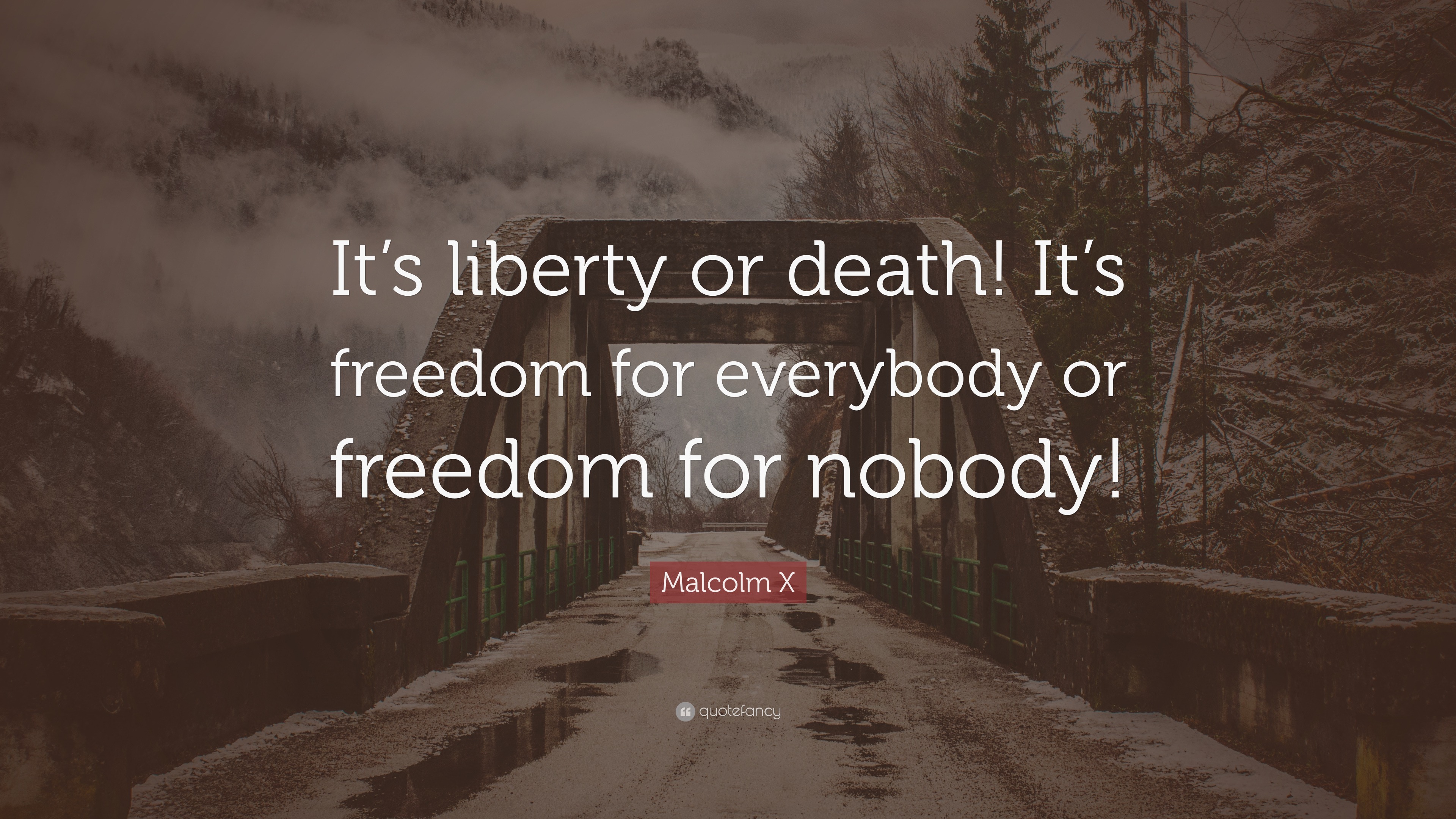 Malcolm X Quote: “It’s liberty or death! It’s freedom for everybody or ...